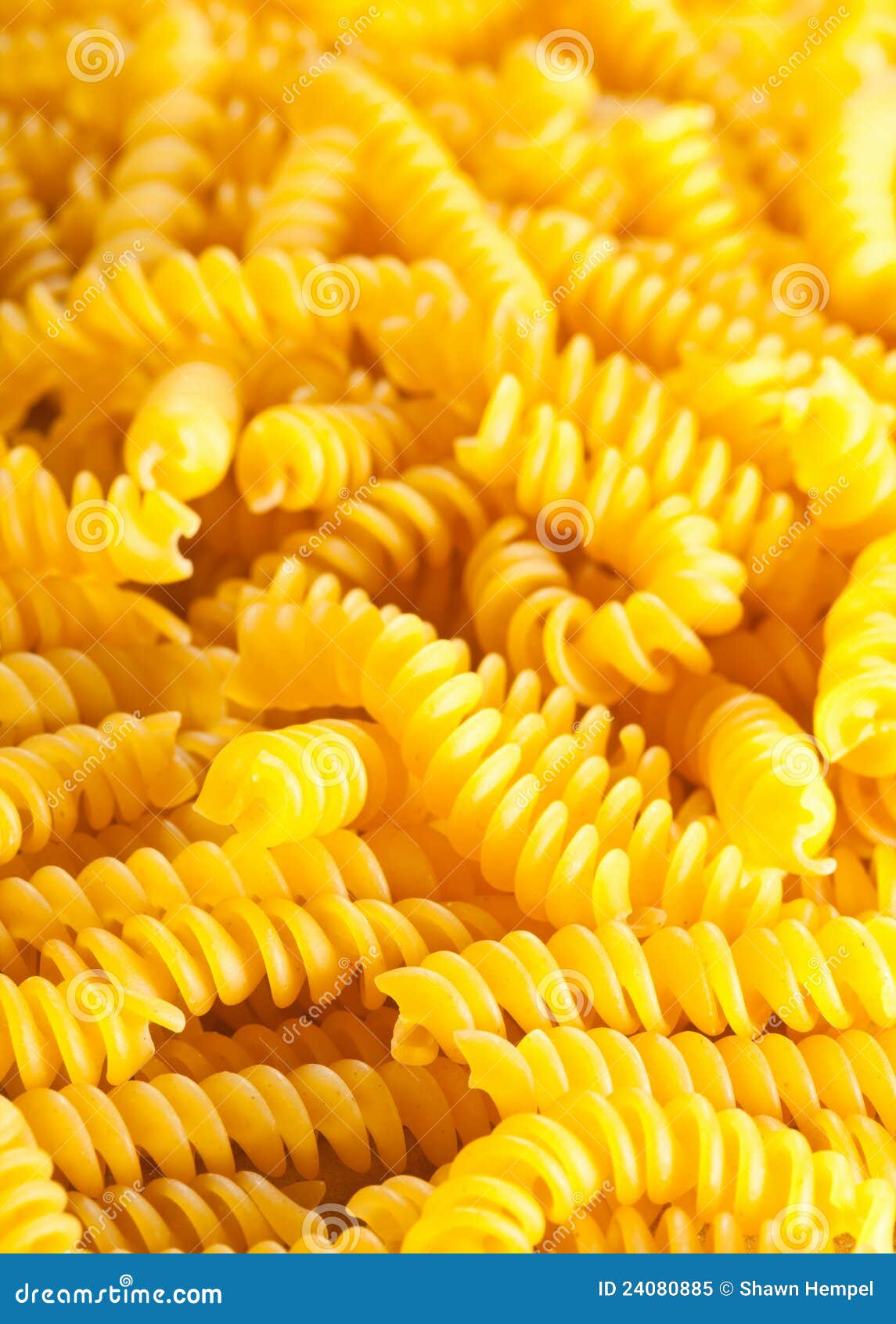 Spirelli stock image. Image of spiral, close, spirelli - 24080885