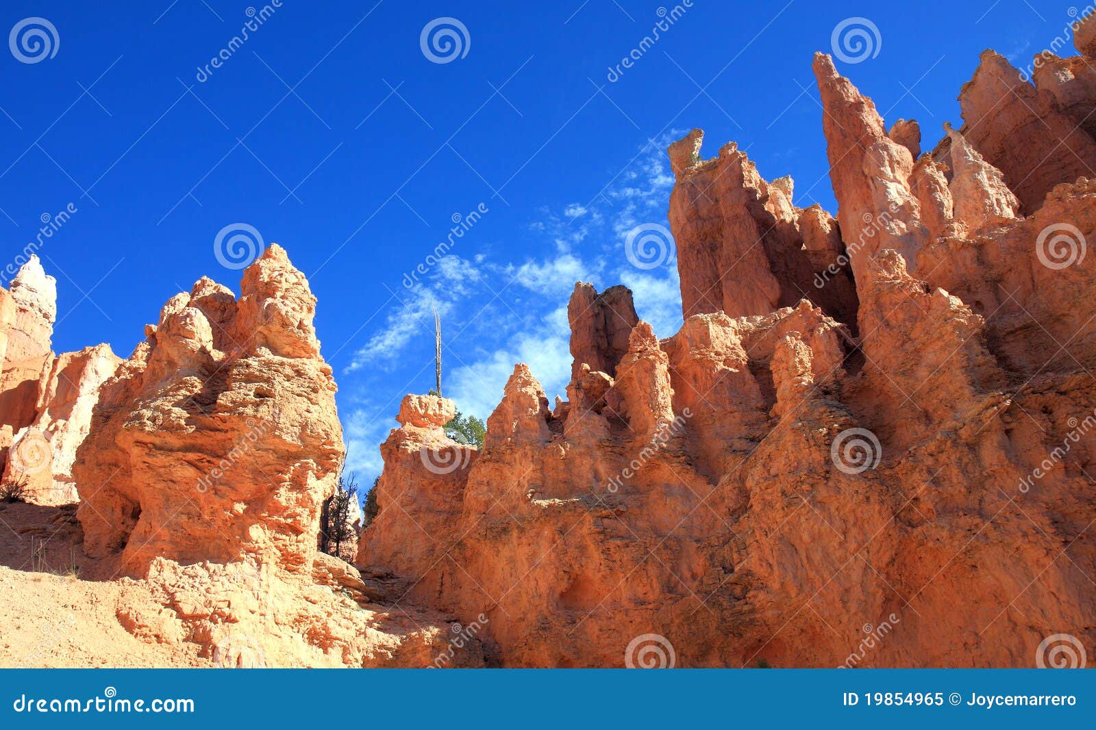 Spires of Bryce Canyon stock image. Image of desert, elevation - 19854965