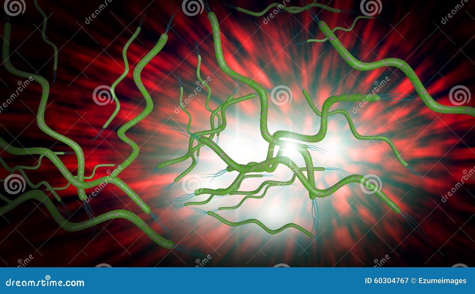 Spirillen-Bakterien stock abbildung. Illustration von abbildung - 60304767