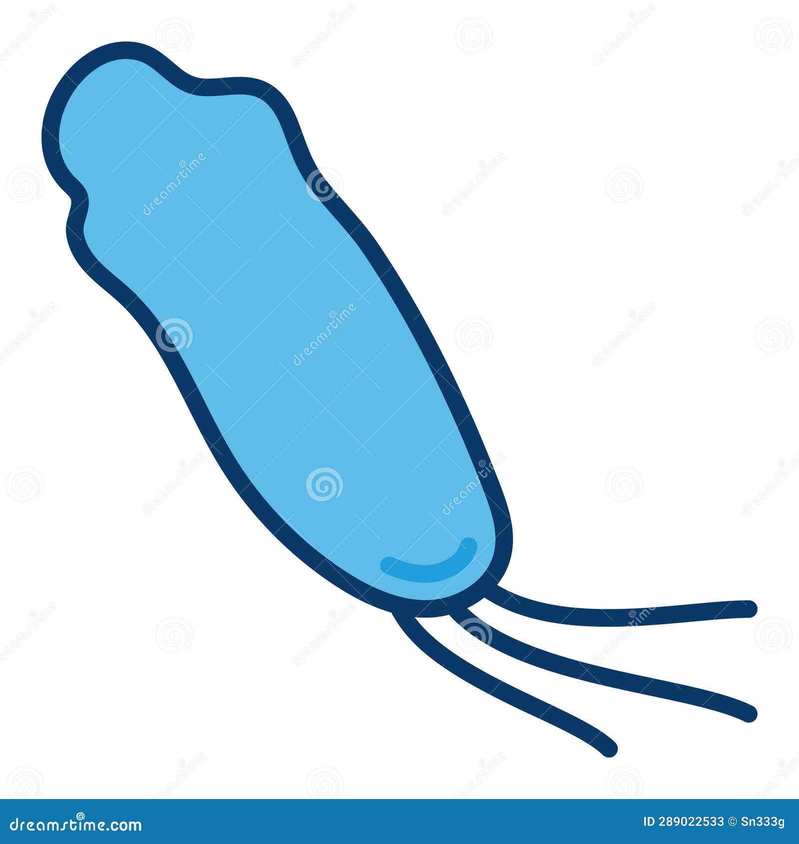 Spirillum Bacteria Moving With Flagella In Black And White Line Art ...