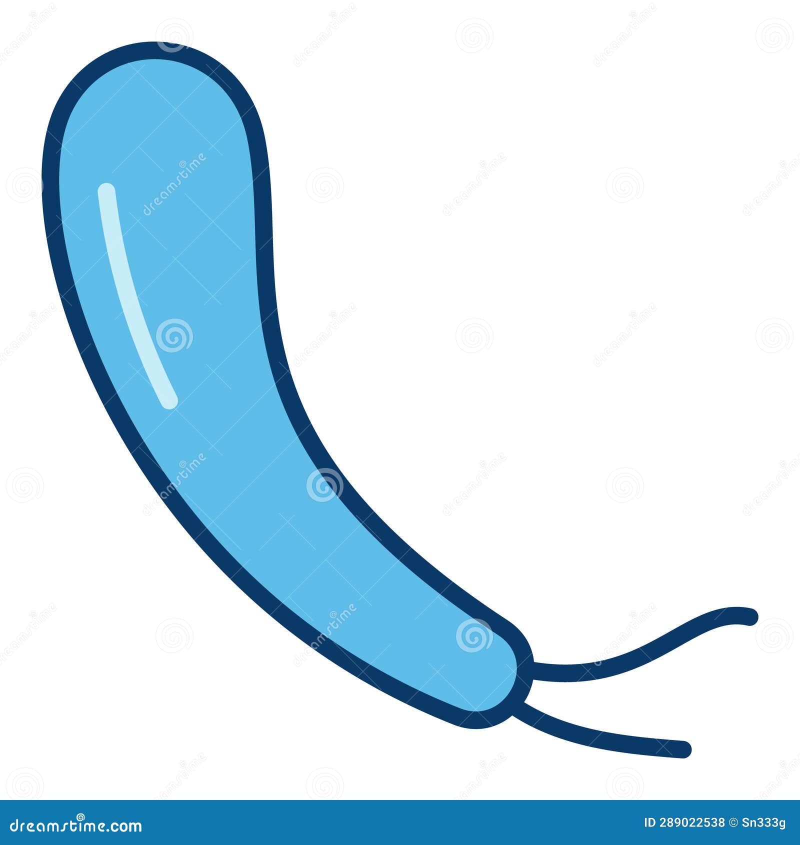 Spirillum Vector Gram Negative Bacteria Concept Blue Icon Stock ...