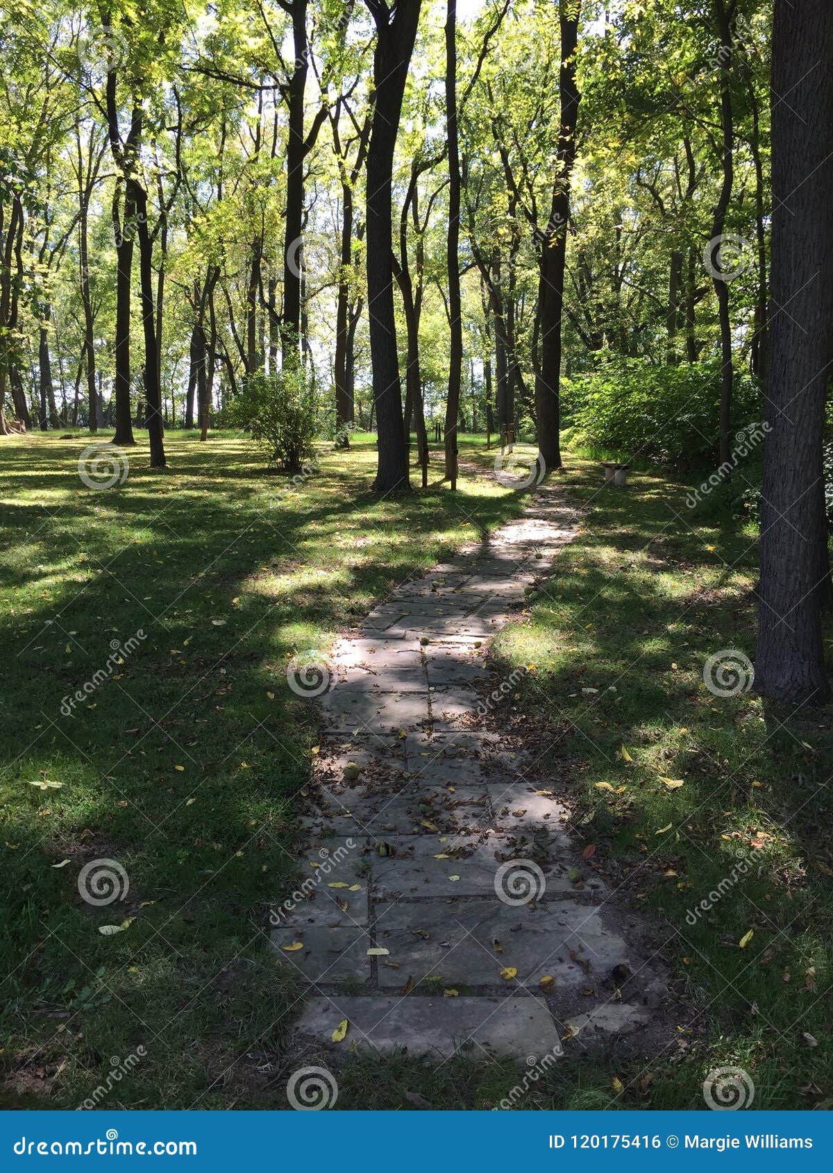 Spiritual Path stock photo. Image of path, place, reflection - 120175416