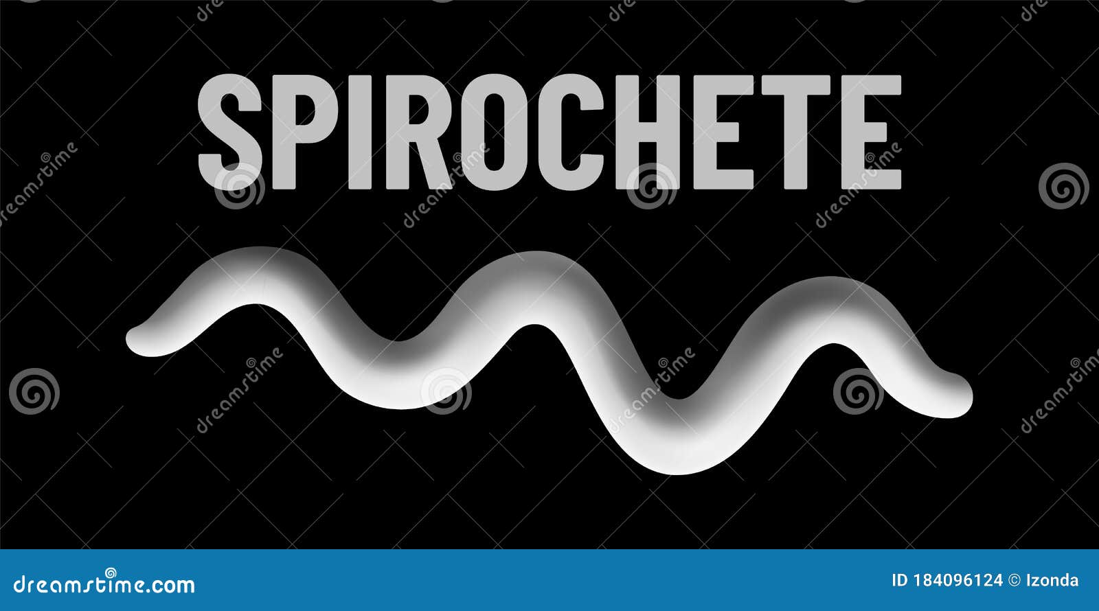 Spirochete Bacteria Stock Illustrations – 63 Spirochete Bacteria Stock ...