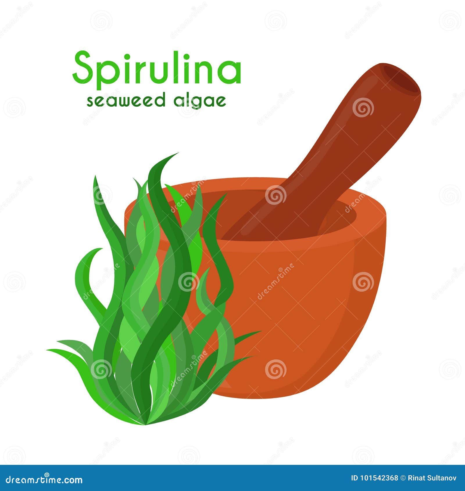 Spirulina, Algae, Seaweed with Pestle, Mortar. Cartoon Style. Vector ...