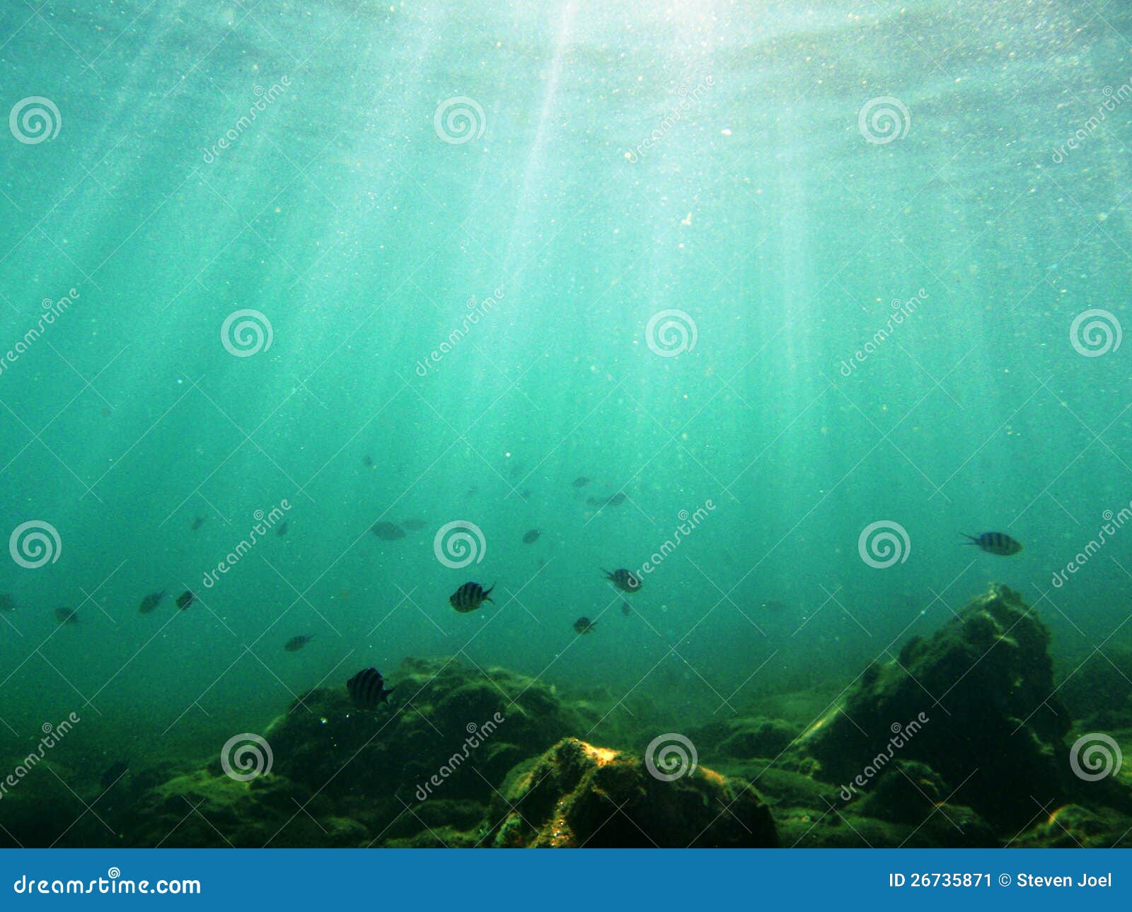 The Spit - Mooloolaba stock image. Image of fijian, fiji - 26735871