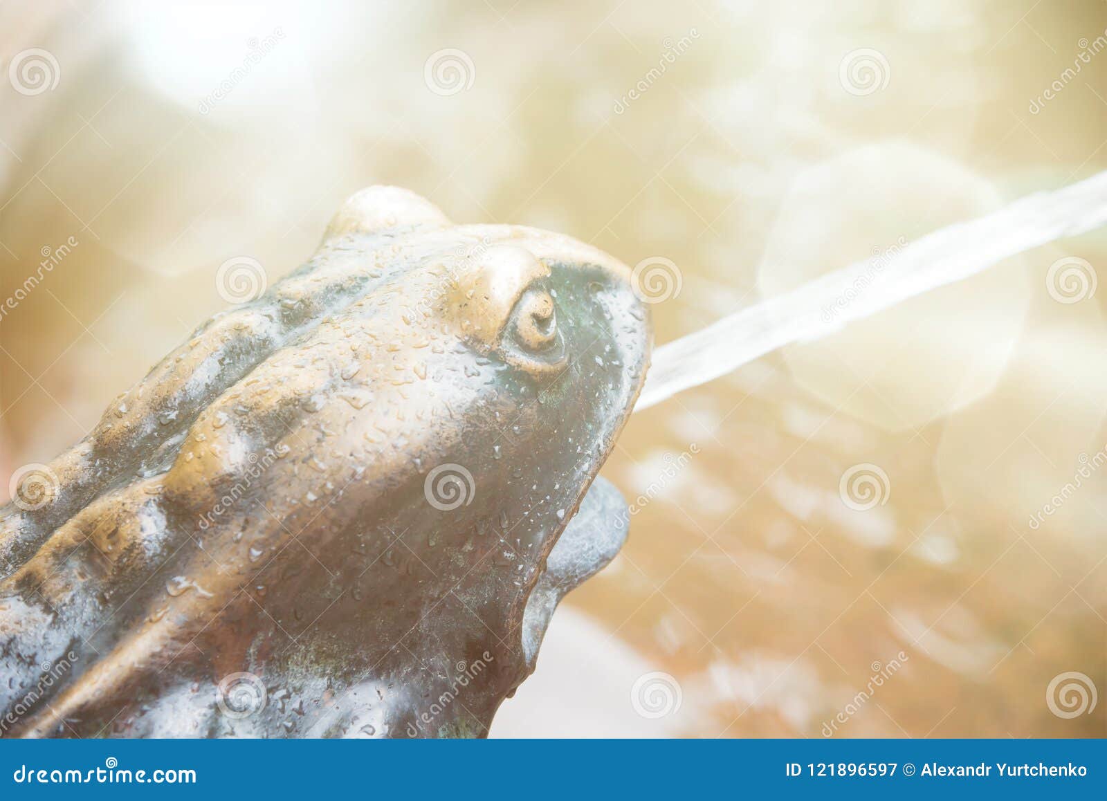 Spitting bronze toad stock image. Image of asian, frog - 121896597
