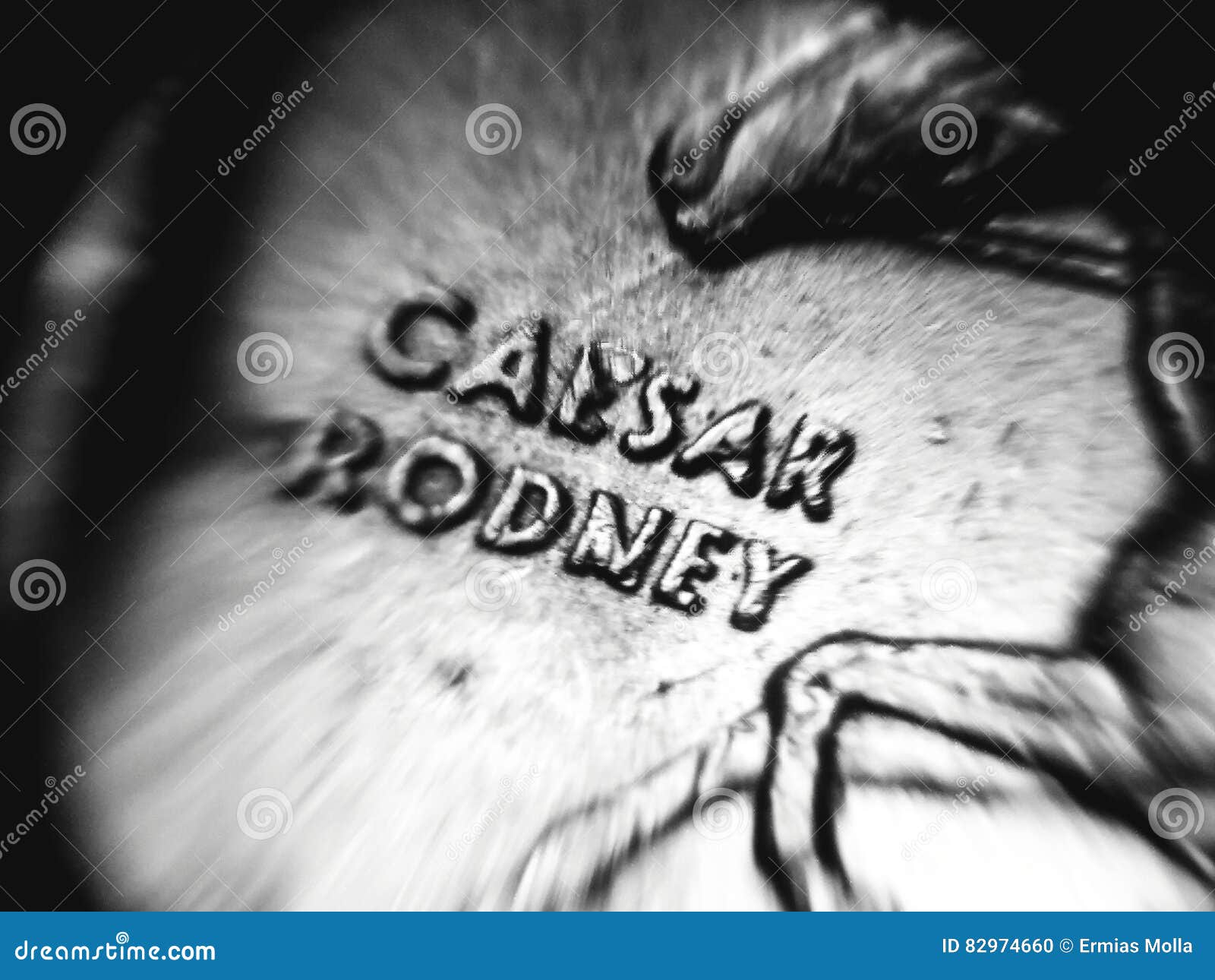 Delaware Quarter Tails Side 1999 The First State Stock Image ...