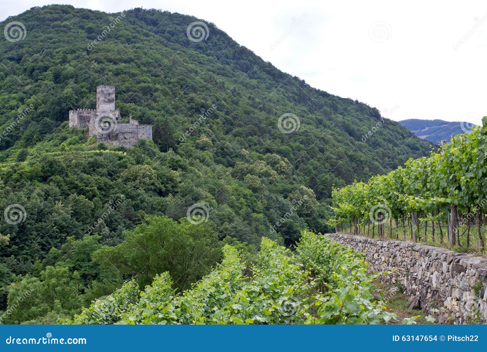 Spitz, Castle Hinterhaus stock photo. Image of fortress - 63147654