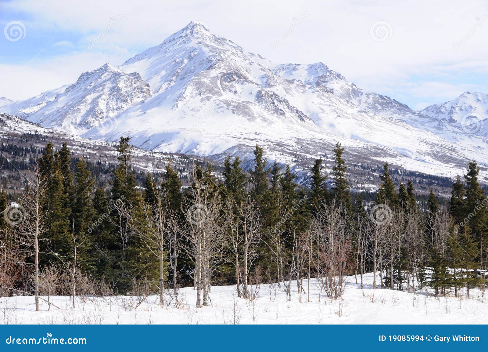 Spitze in Der Alaska-Reichweite Stockfoto - Bild von immergrün, fichten ...