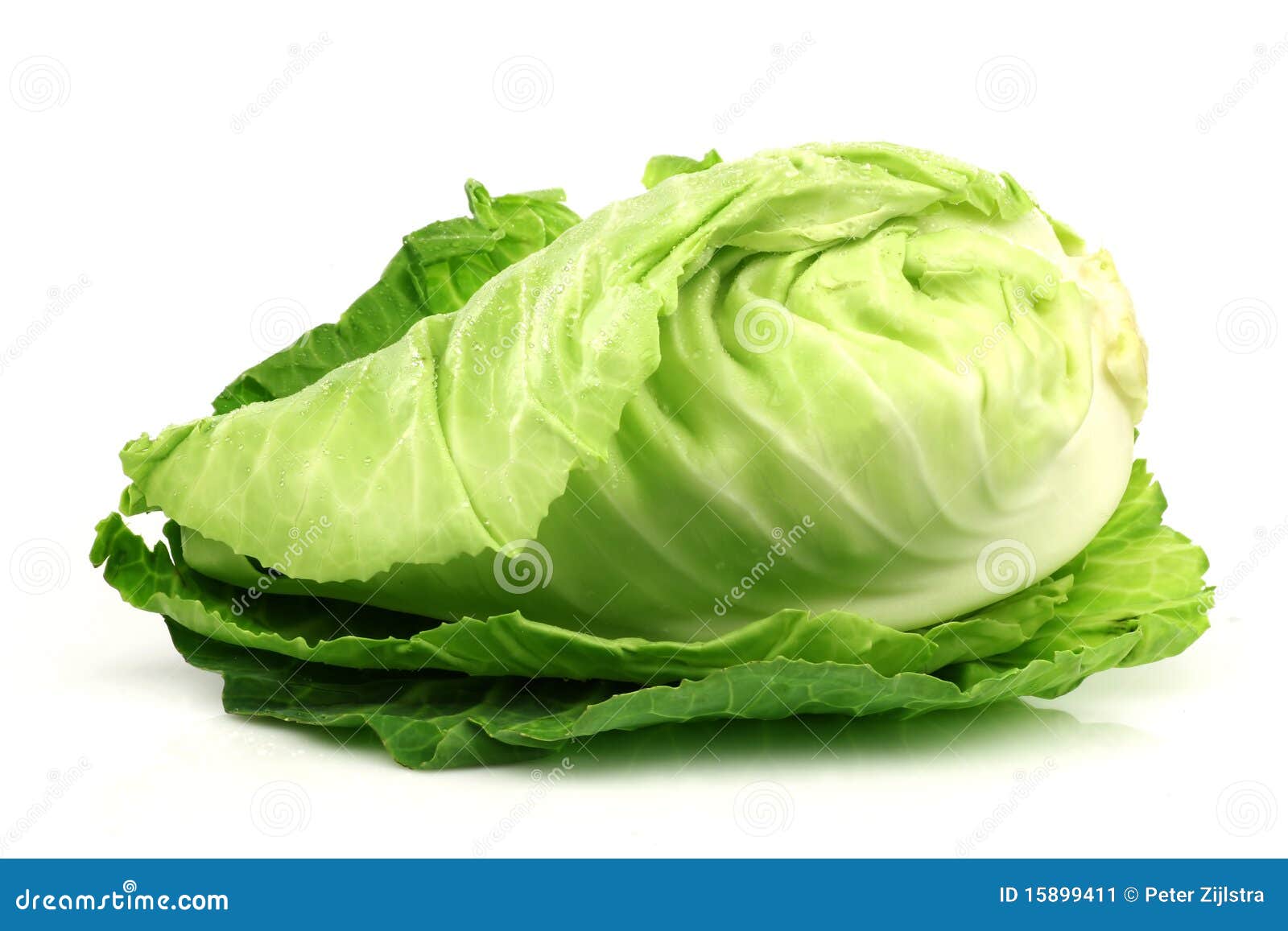 Spitzer Kohl stockbild. Bild von getrennt, frisch, kochen - 15899411