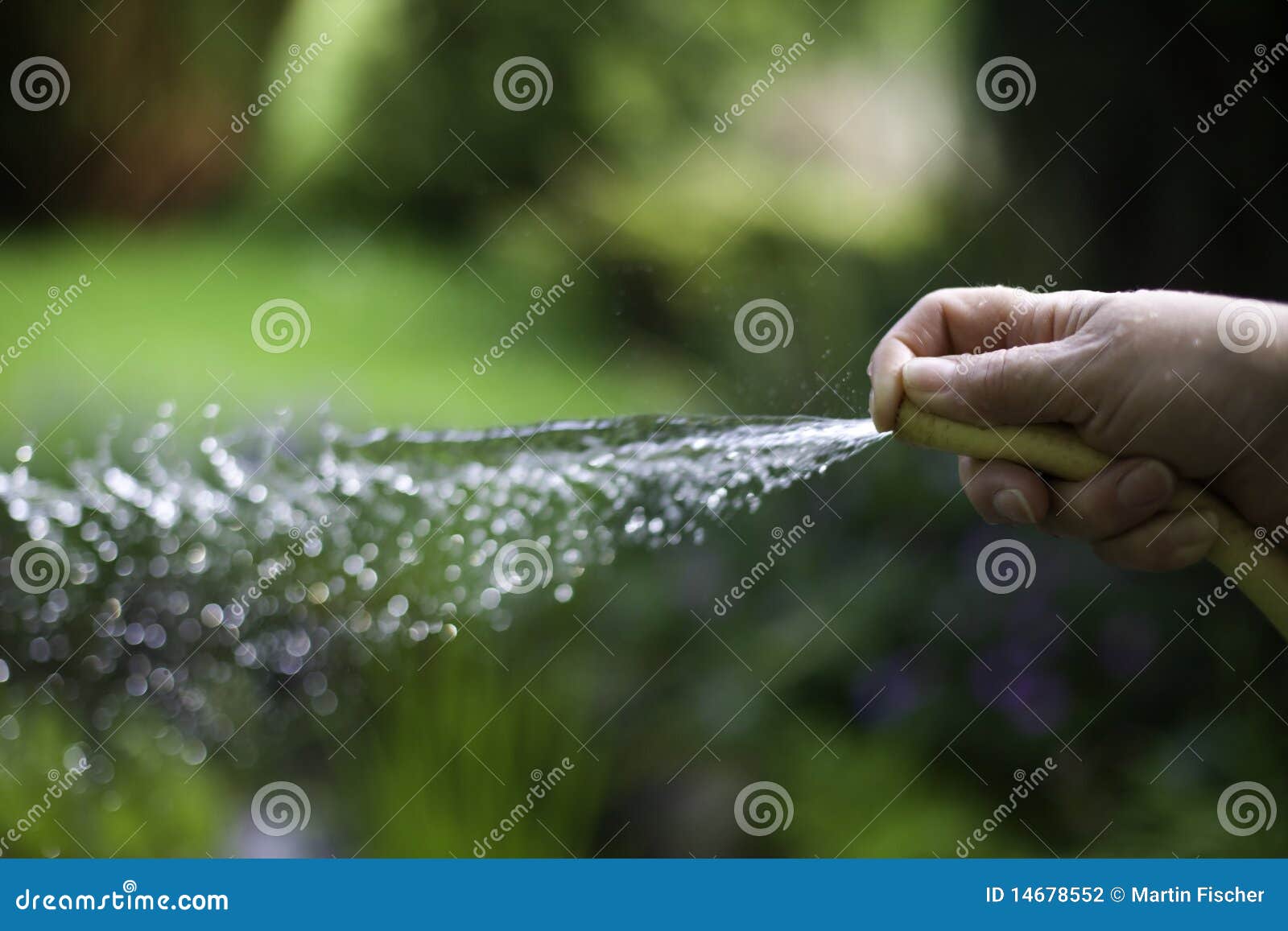 Splash stock photo. Image of nursery, hose, garden, sprinkle - 14678552