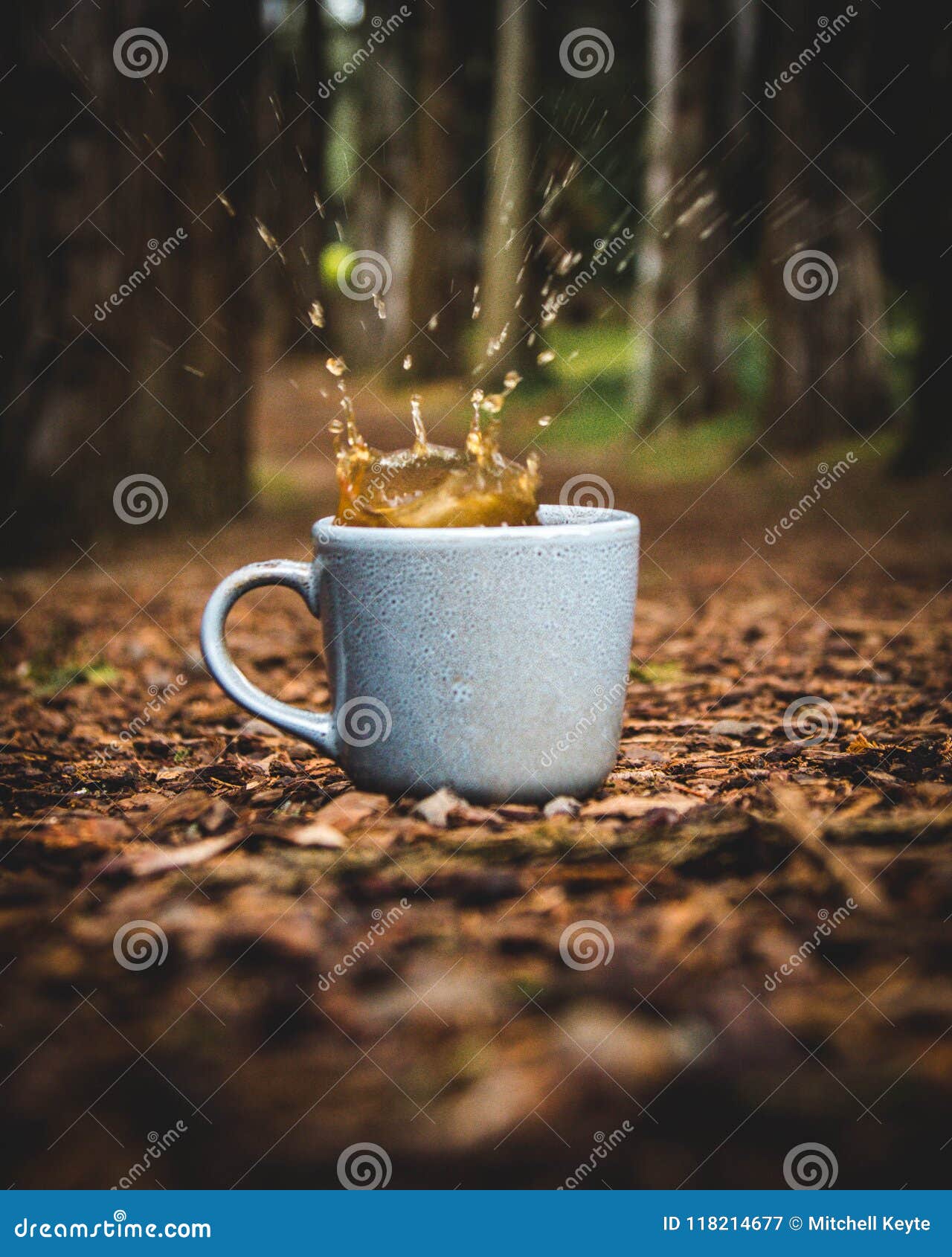 Splash of Coffee in the Forest Stock Image - Image of flying, captured ...