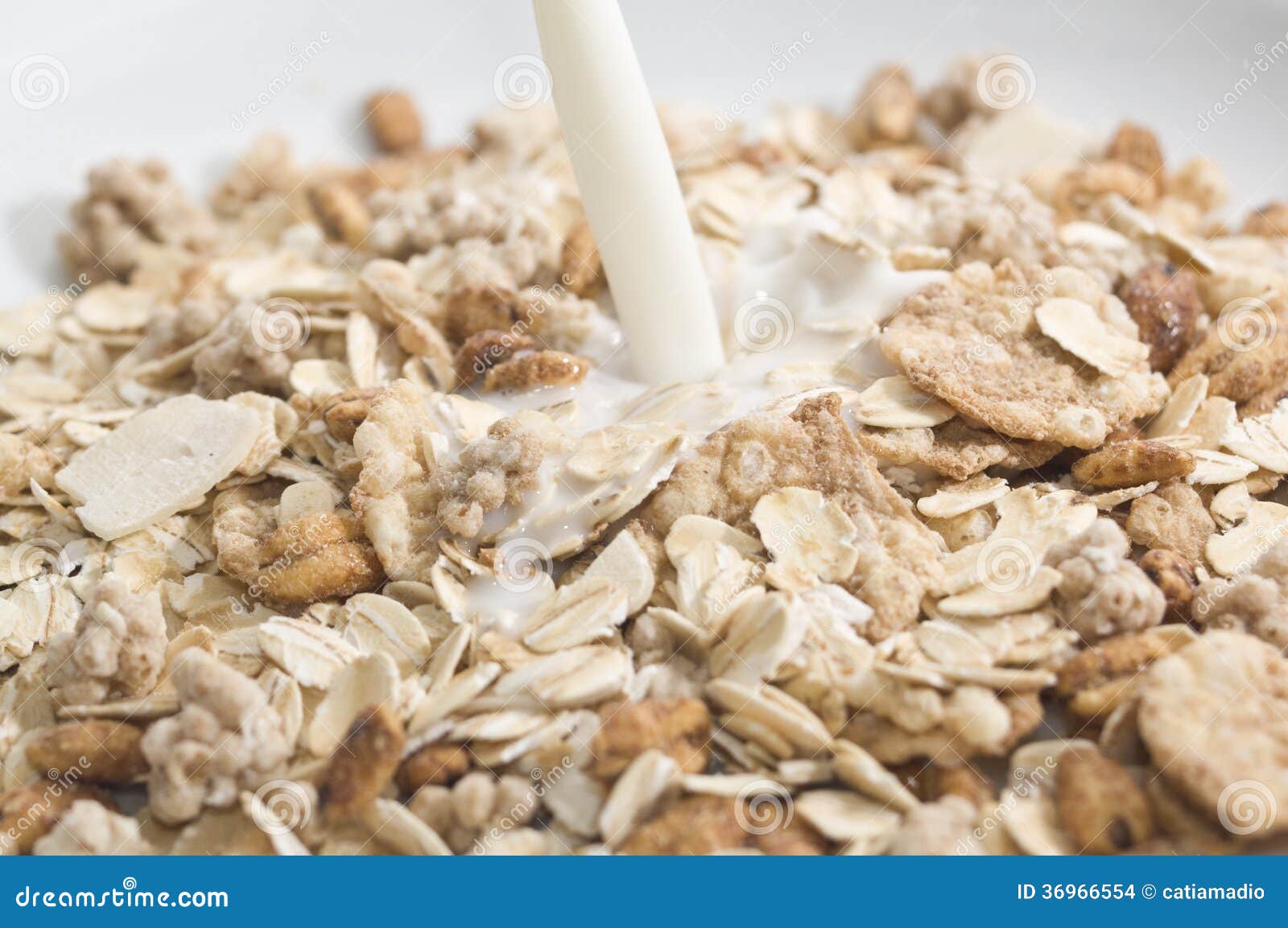 Splash milk on cereals stock photo. Image of milk, splash - 36966554
