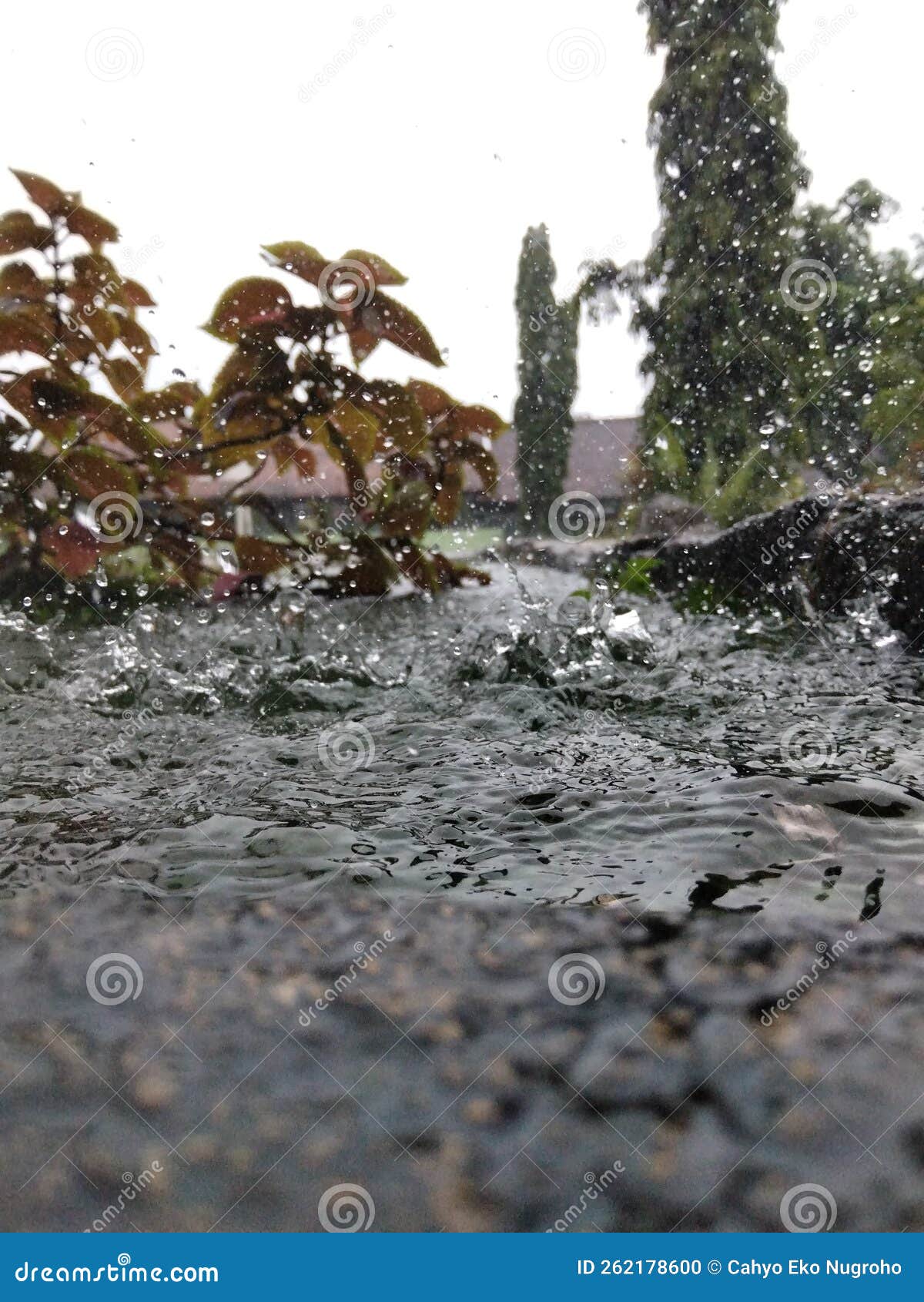 A Splash of Rain that Fell from the Sky so Beautiful this Splash Stock ...