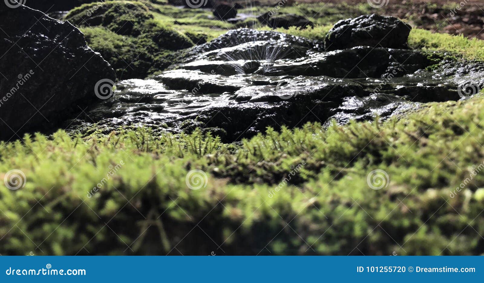 Splash on rock stock photo. Image of rock, surrounded - 101255720
