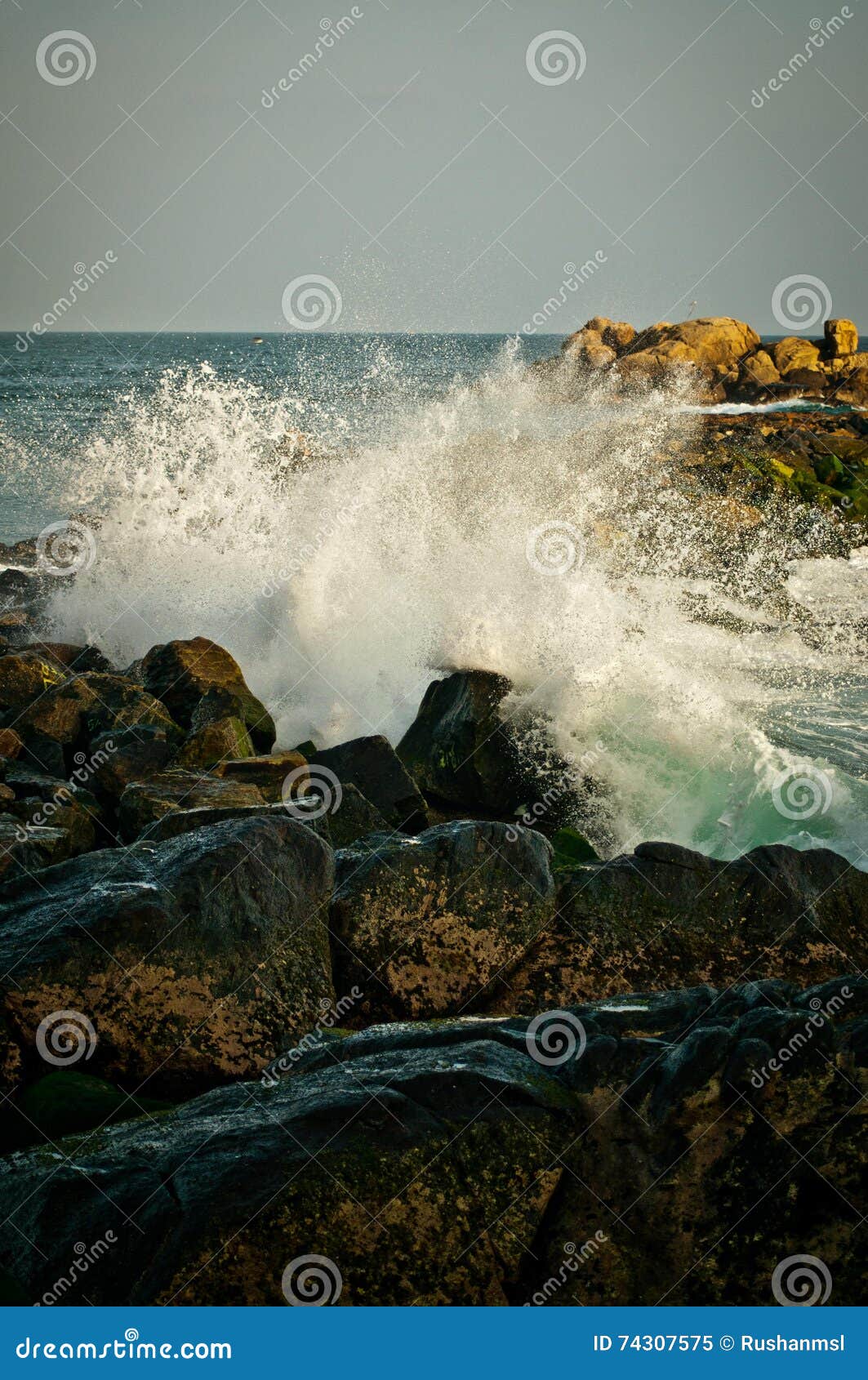 Splash stock image. Image of shake, wave, snow, splash - 74307575