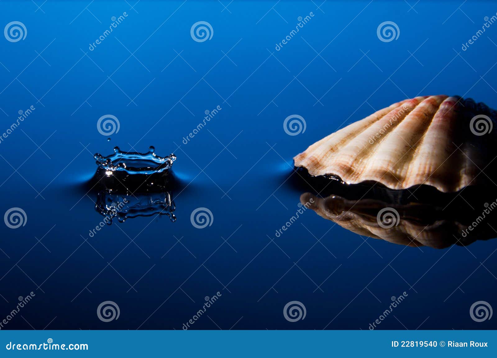 Splash with Shell stock photo. Image of bubble, relax - 22819540