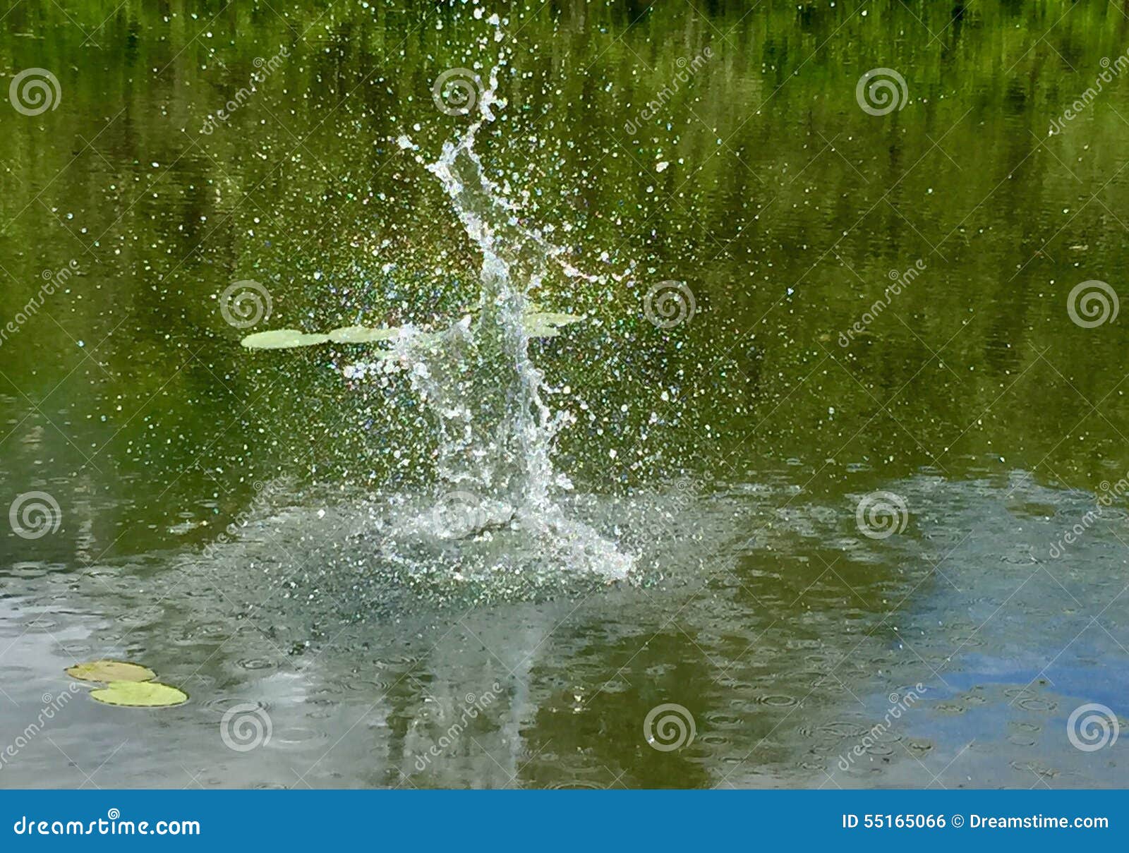 Splash stock photo. Image of rock, splash, capture, throw - 55165066