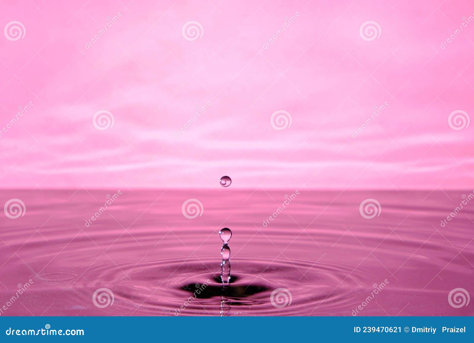 Splash Water after Drop Falls.Pink Abstract Background with Drop in ...