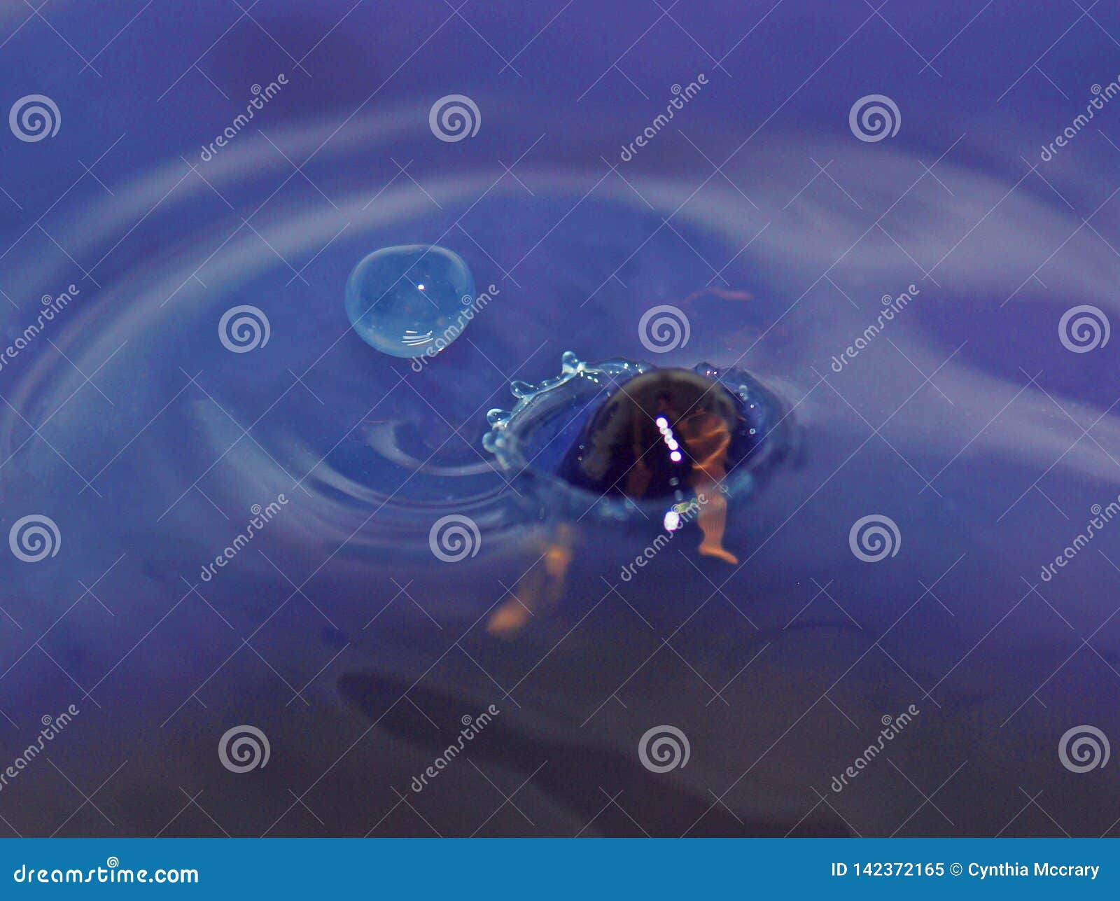 Splash from Water Droplet stock image. Image of droplet - 142372165