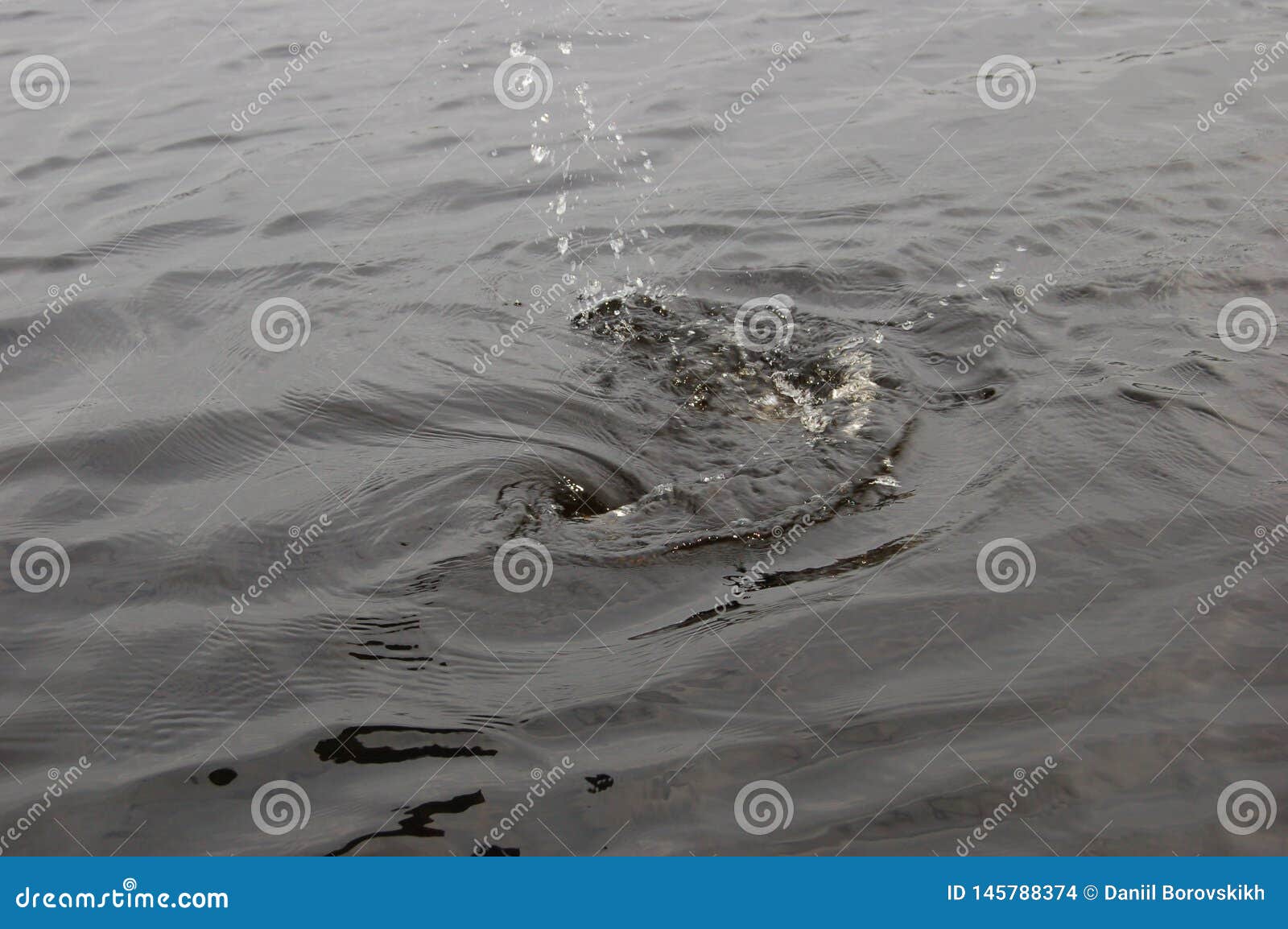 A Splash of Water in the Lake Stock Photo - Image of reflection, light ...