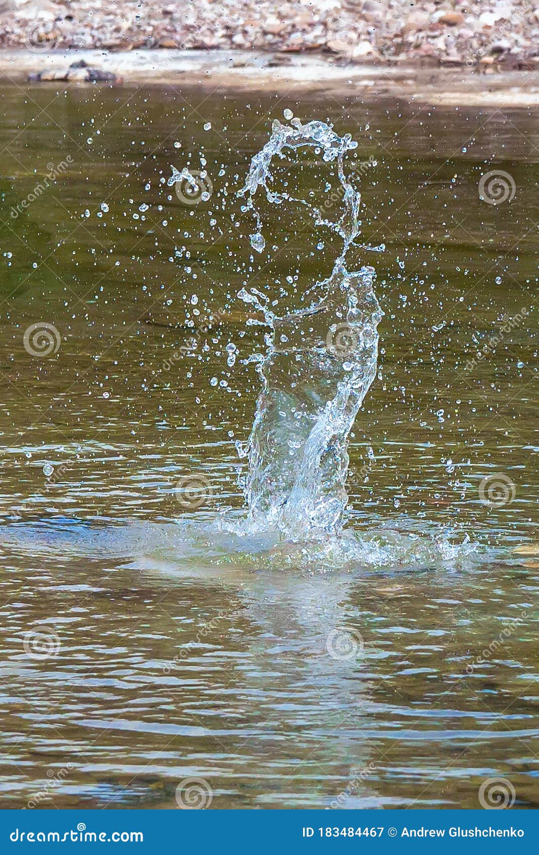 Splash in the Water, Splash, Threw a Stone into the River Stock Image ...