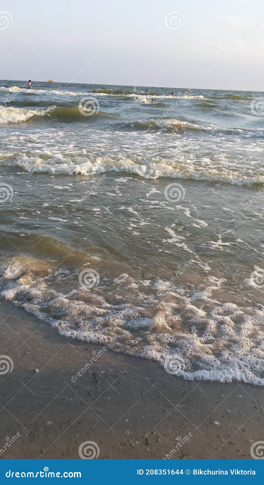 Splash in the waves stock photo. Image of waves, swimming - 208351644