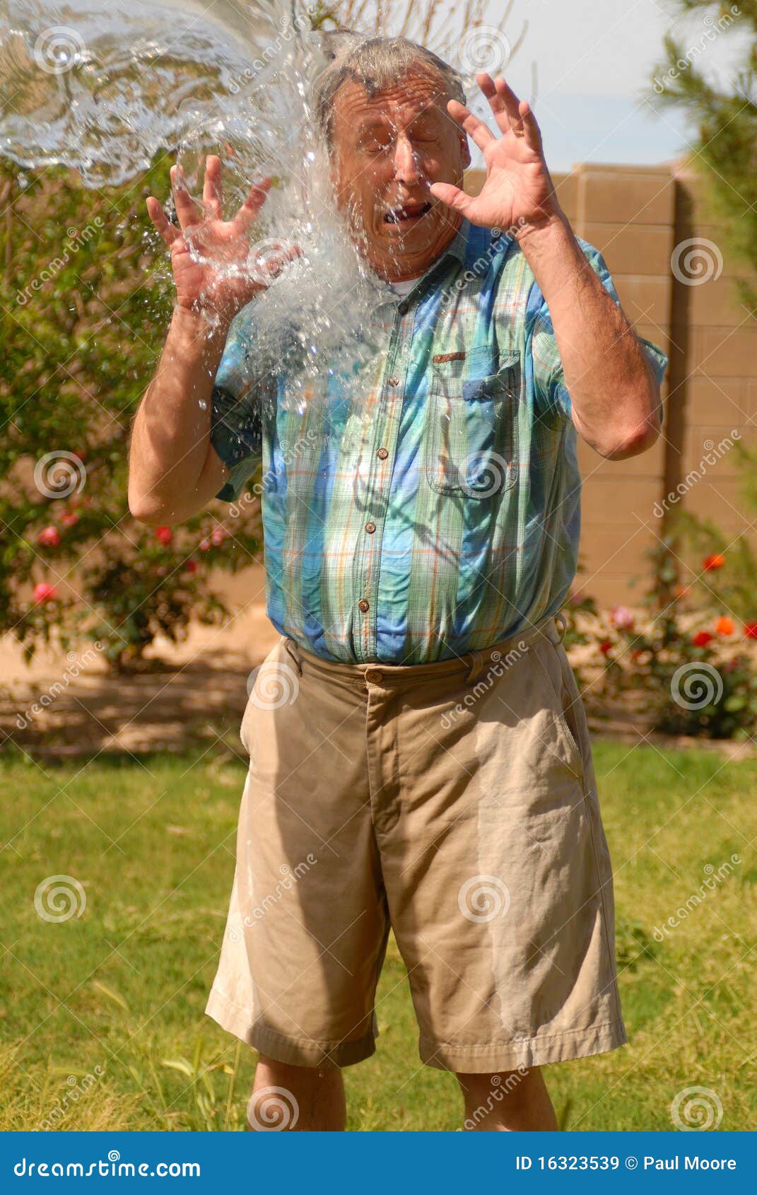 Splashed stock image. Image of body, fresh, fashion, hand - 16323539