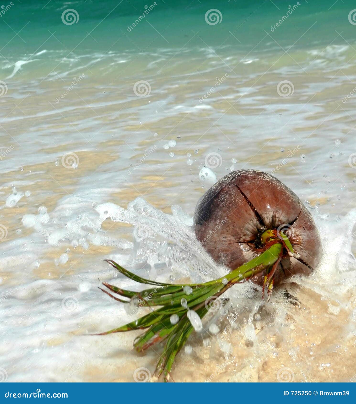 Coral Beach Background Texture Stock Photography | CartoonDealer.com ...