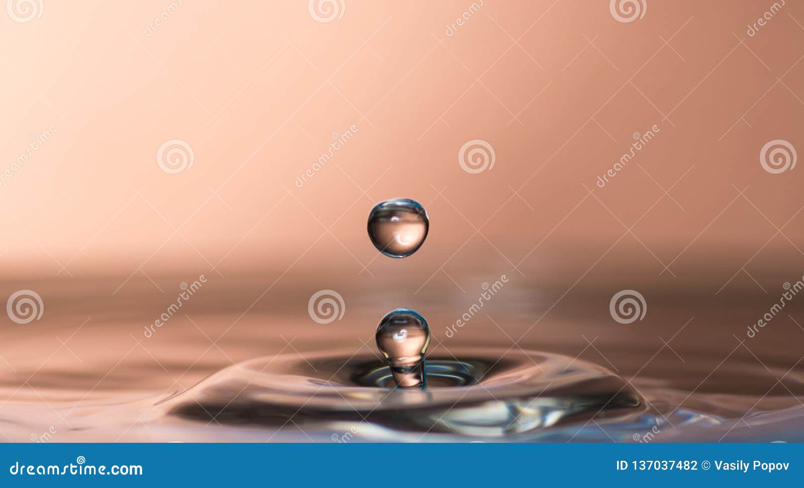 Splashed Out and Splashed from a Falling Drop on a Colored or Black ...