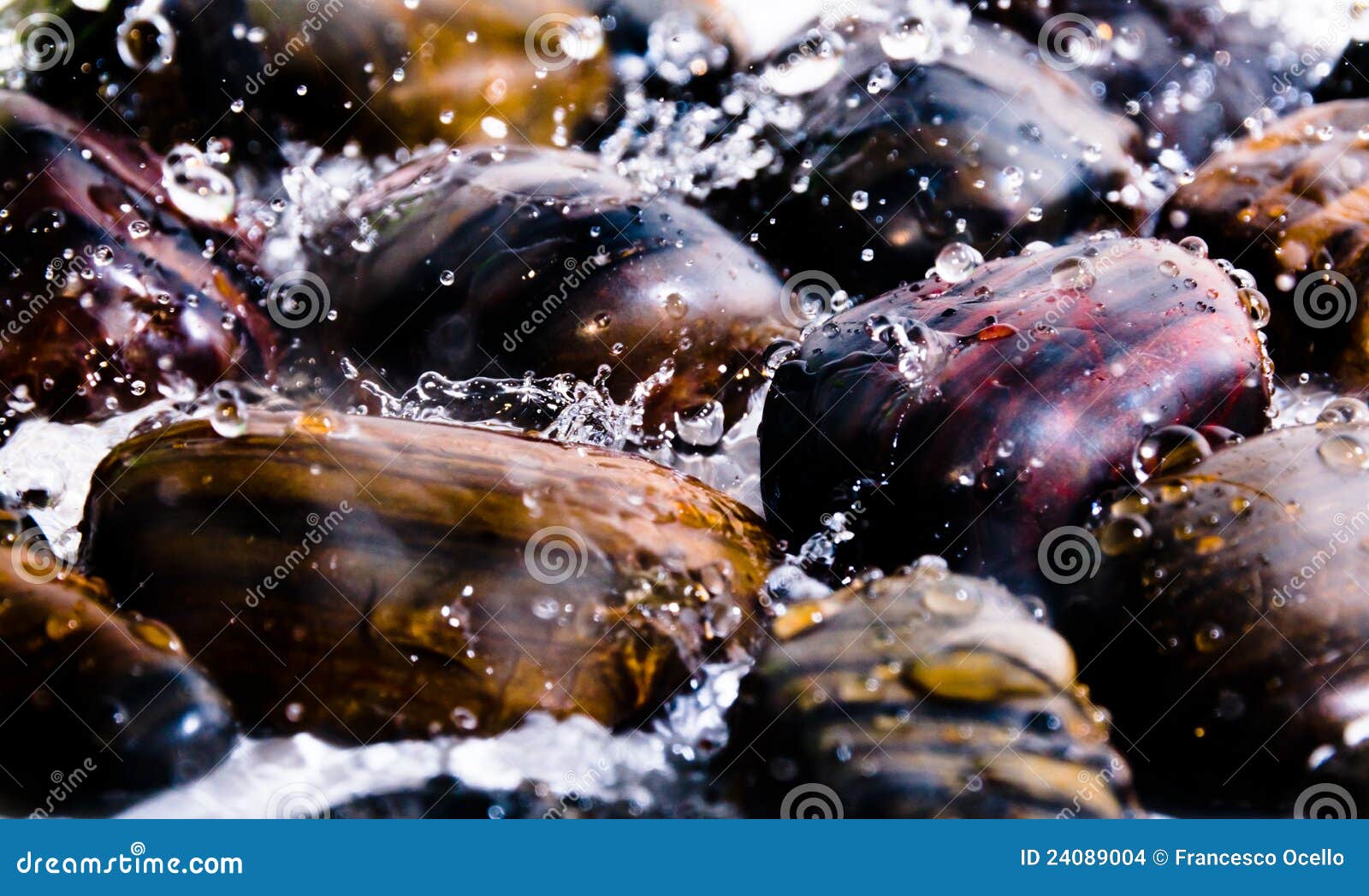Splashed stones stock photo. Image of pebbles, lake, fountain - 24089004