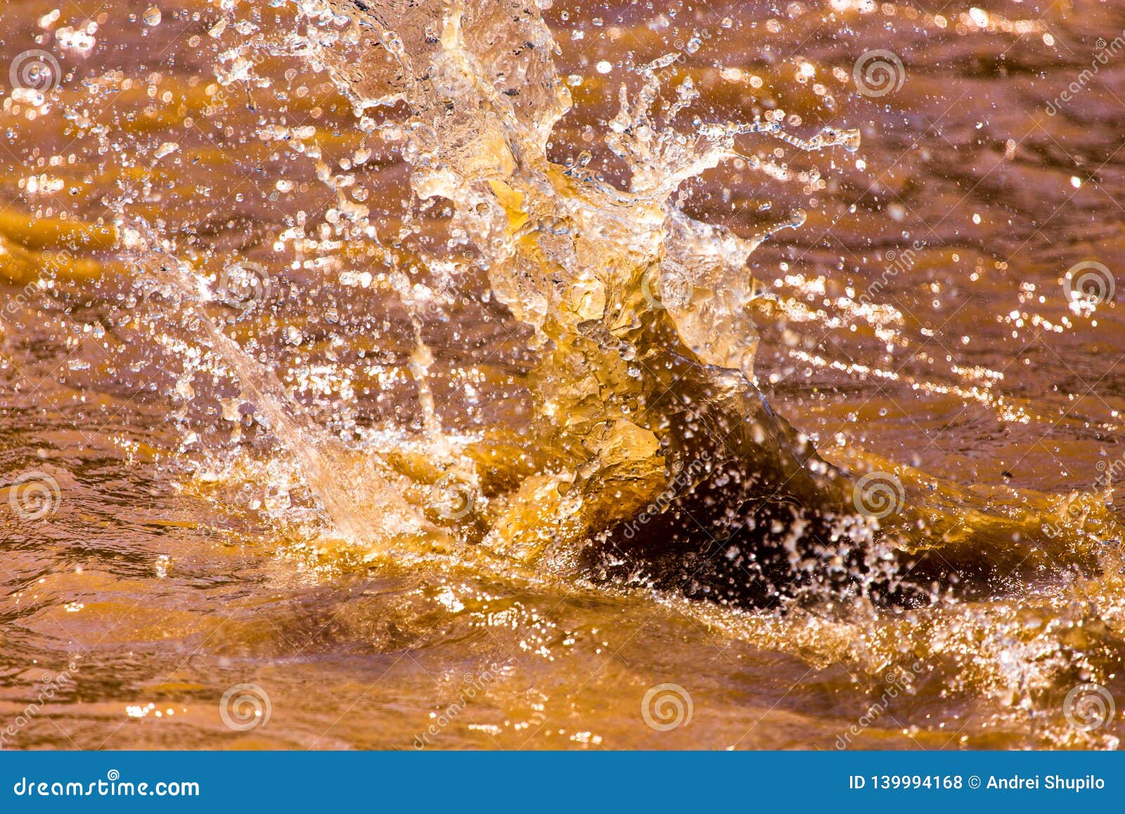 Splashes of Dirty Water on the Surface of the River Stock Photo - Image ...