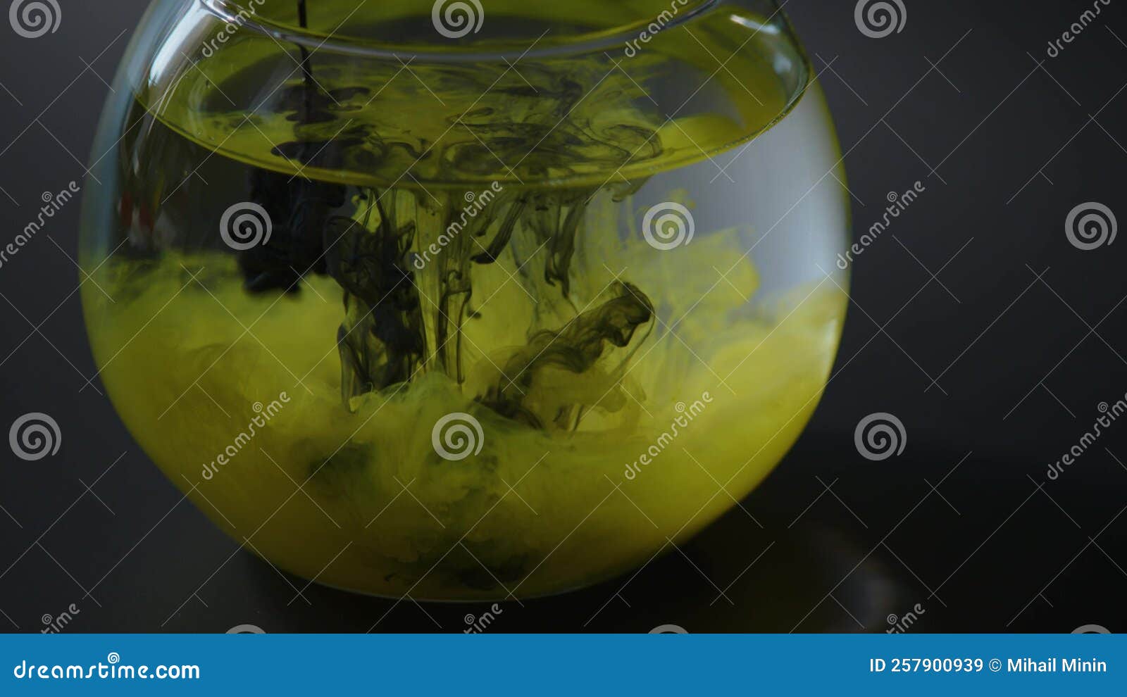 Splashes of Multi-colored Paints in a Glass of Water, Stock Image ...