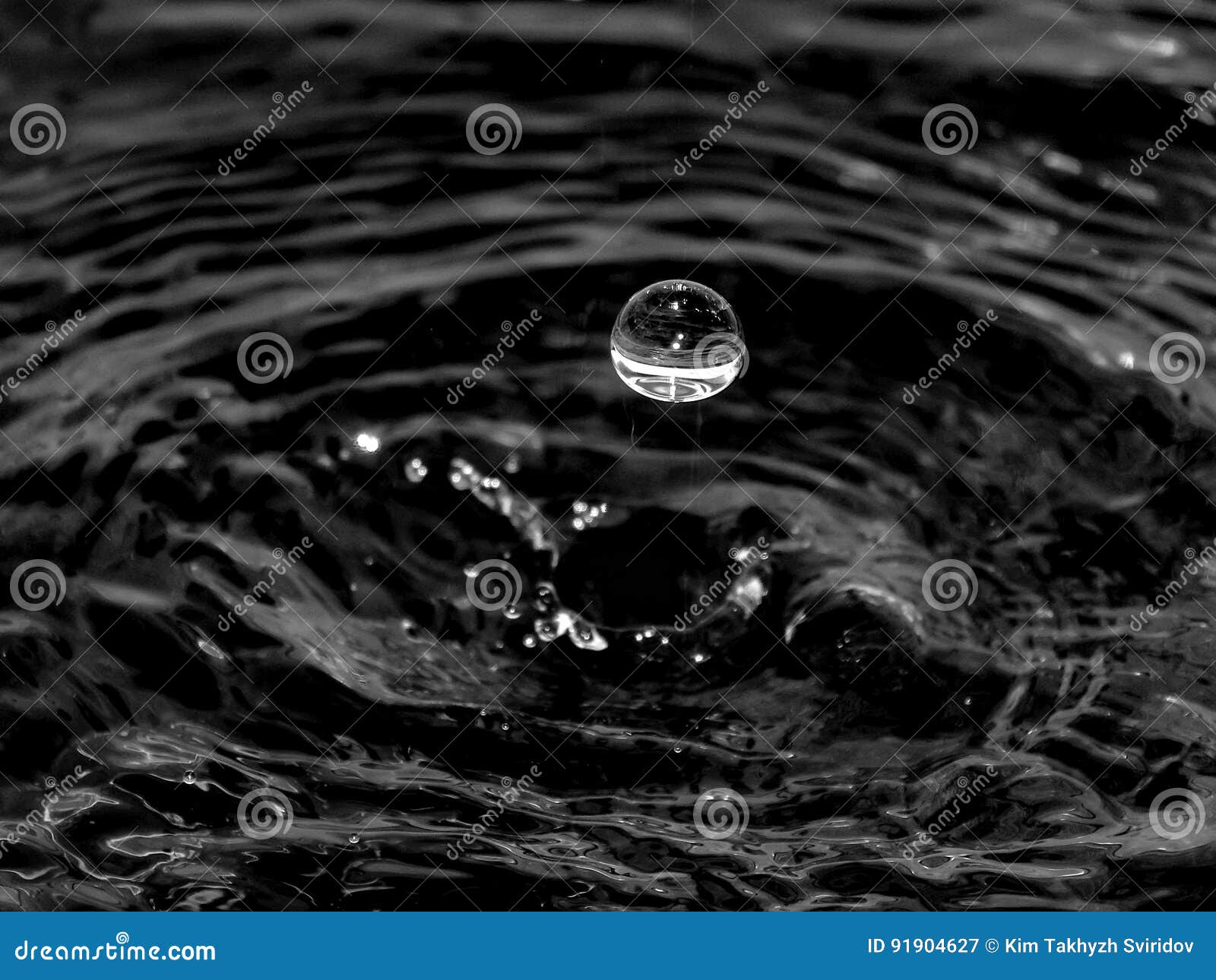 Splashes of Water with a Splash on a Black and White Image Stock Image ...
