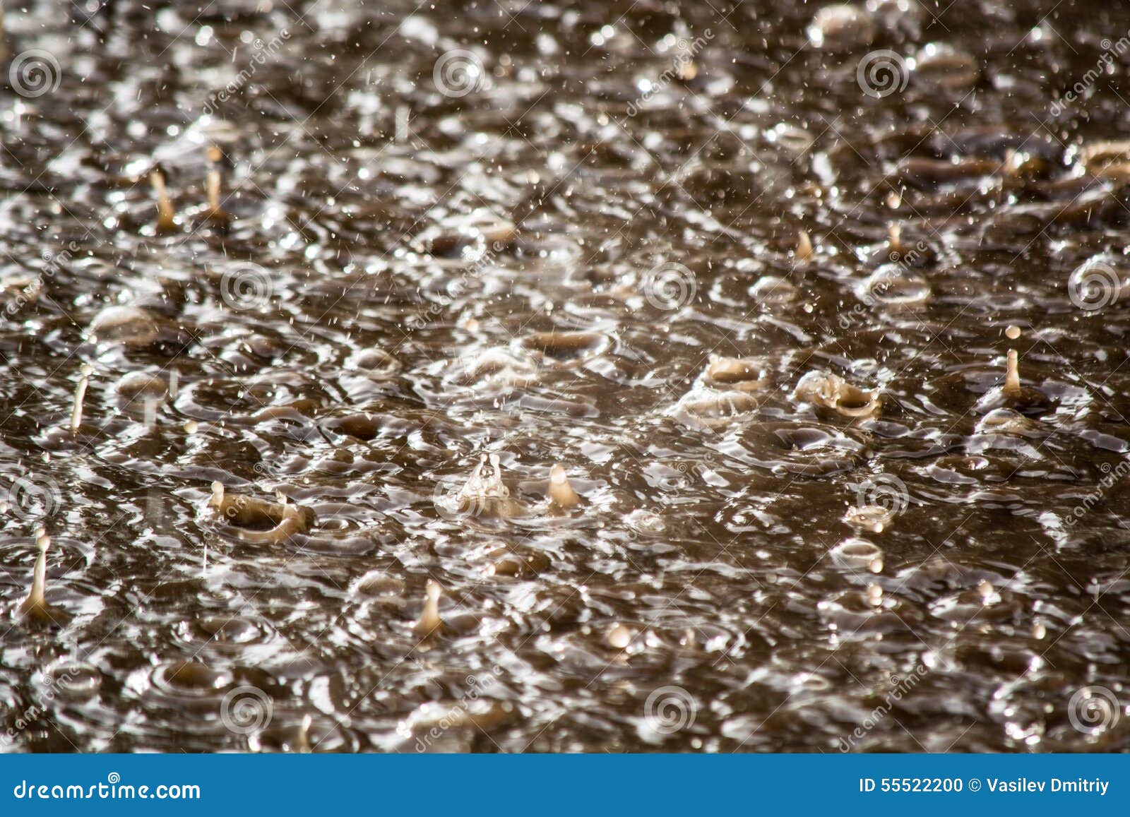 Splashing in a puddle stock photo. Image of splashing - 55522200