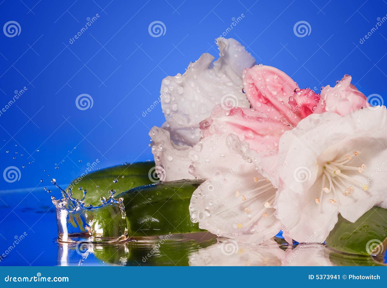 Splashing rain stock image. Image of rain, impact, reflection - 5373941