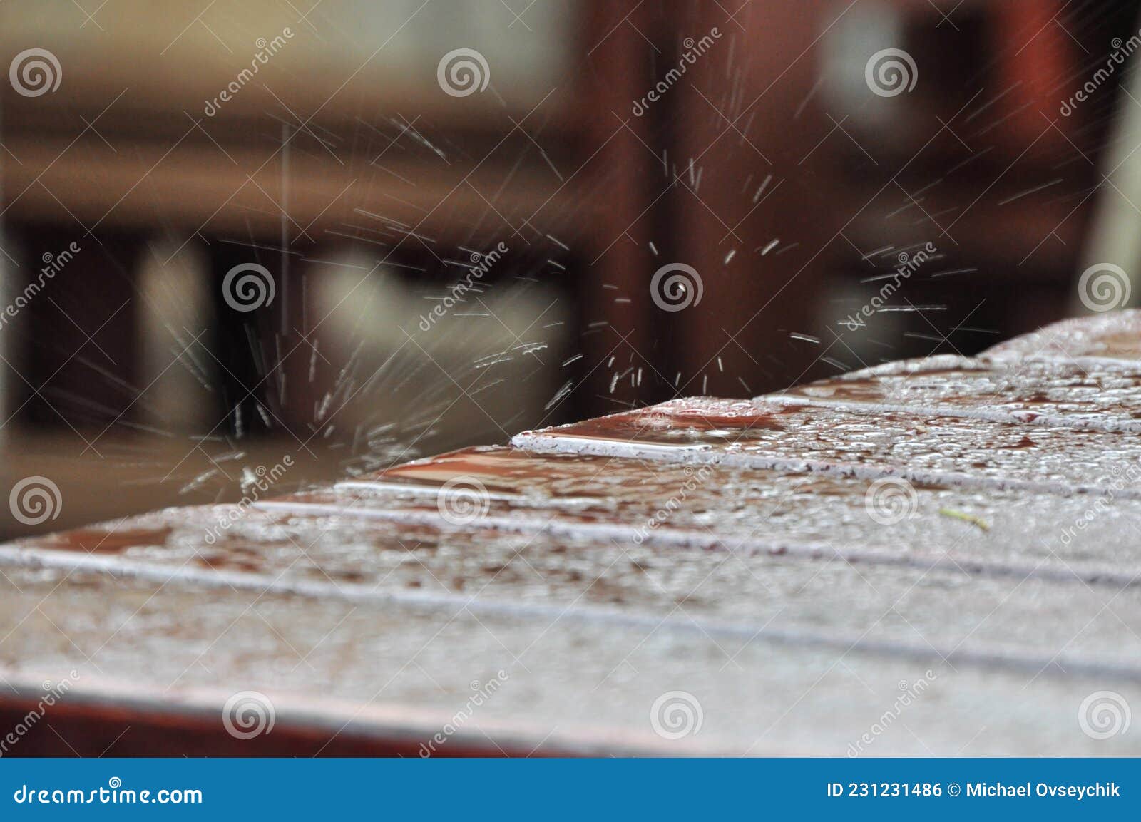 Splashing raindrops stock photo. Image of tropic, growth - 231231486