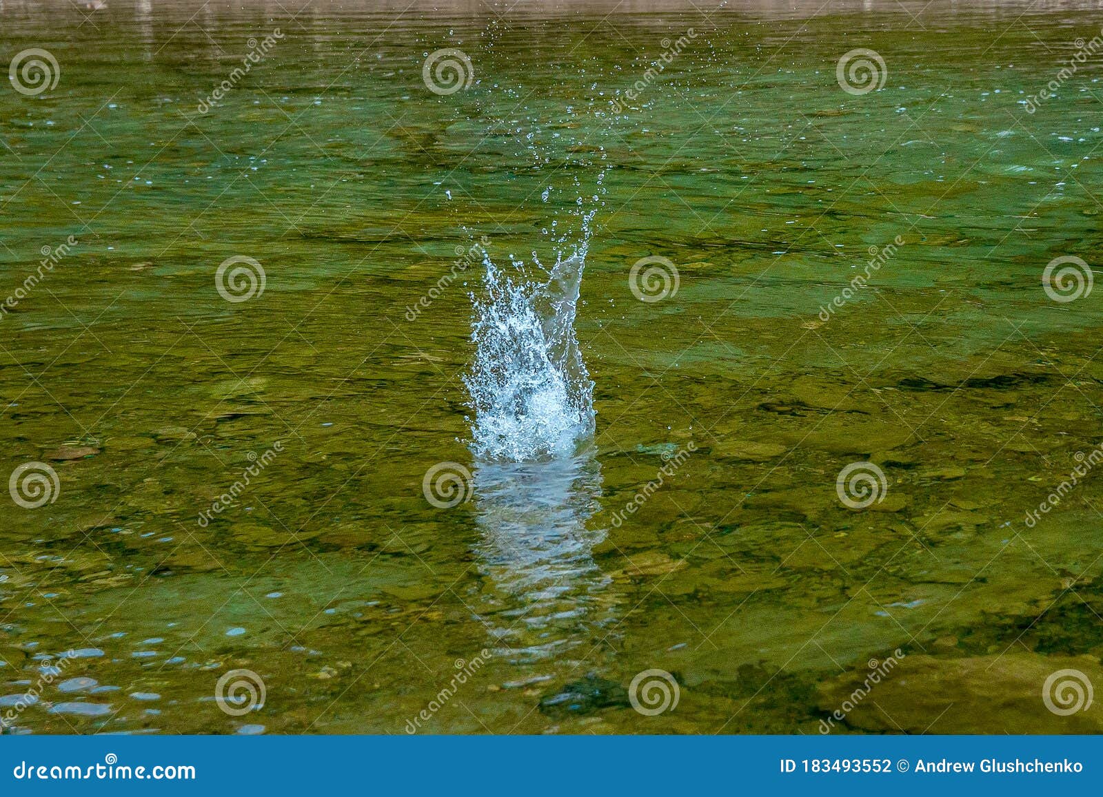 Splashing in the River from a Stone Thrown into it Stock Photo - Image ...