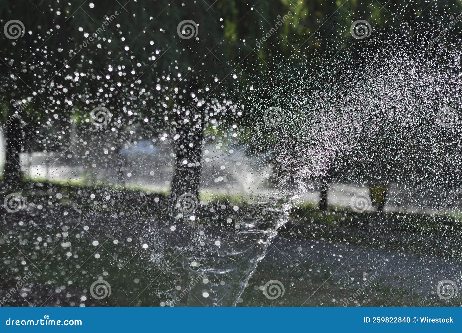 Splashing water in the air stock photo. Image of sunny - 259822840