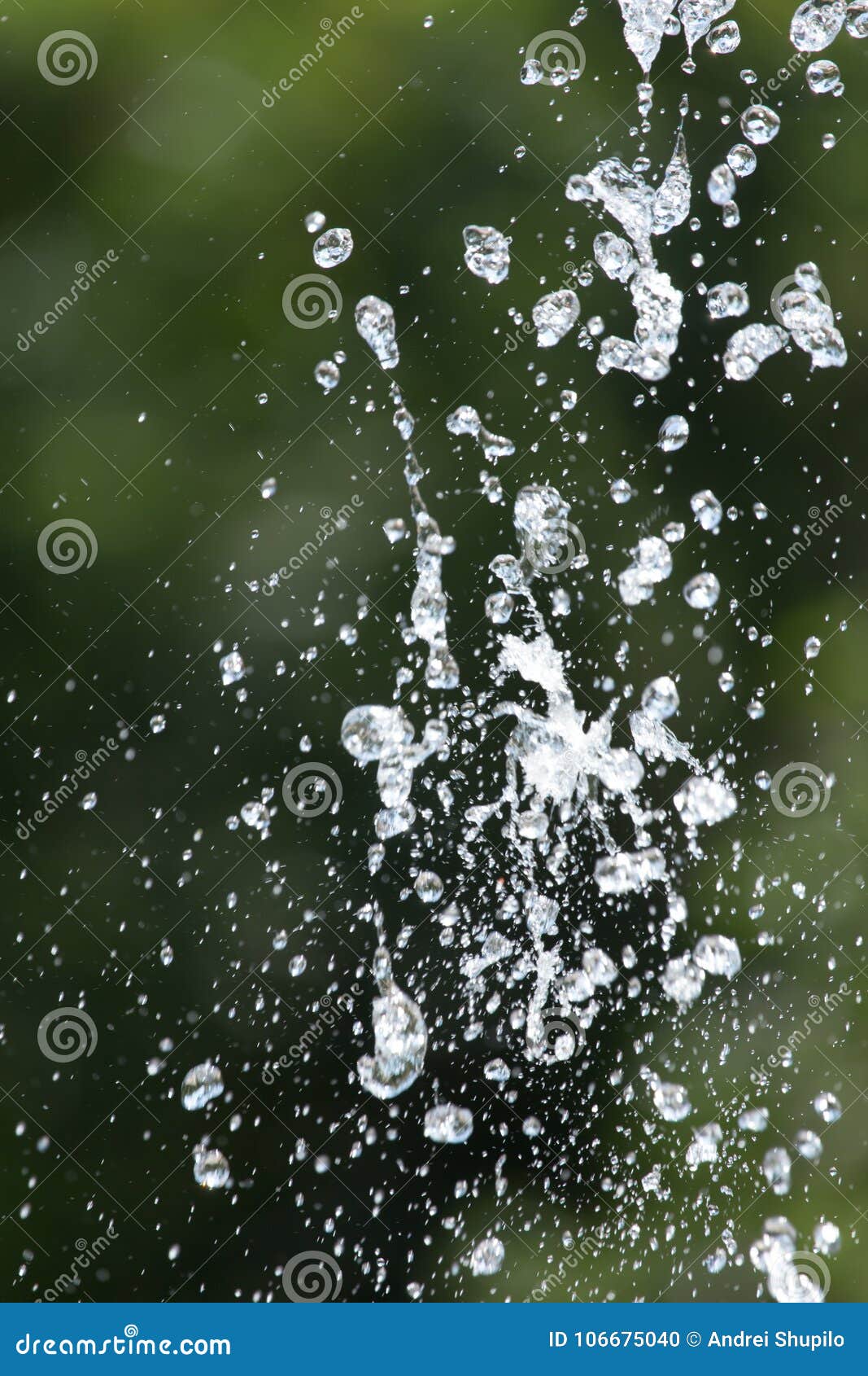 Splashing Water Drop on Nature Stock Photo - Image of beauty, drops ...