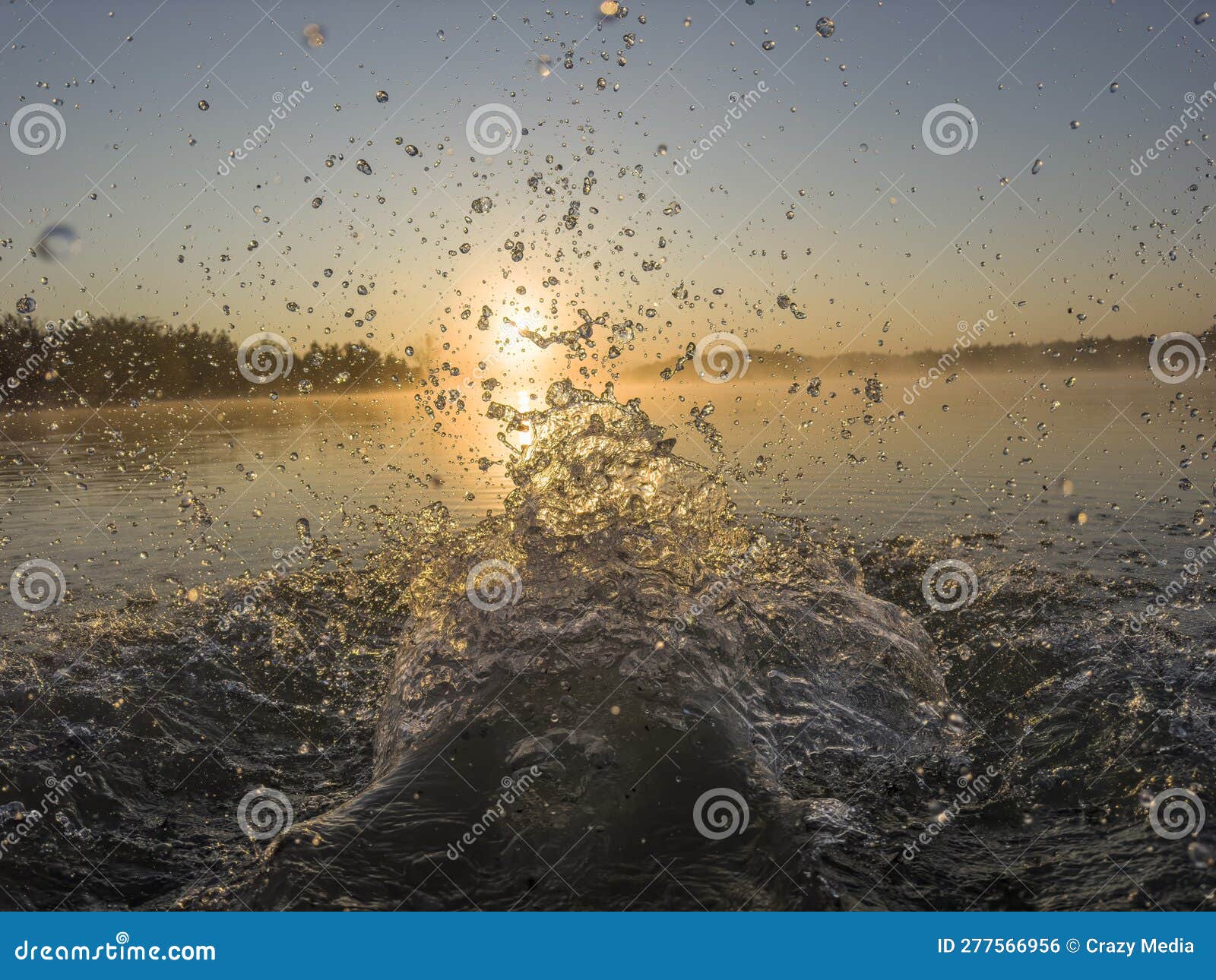 Splashing of Water Droplets and Reflection of Sunlight on the Drops ...
