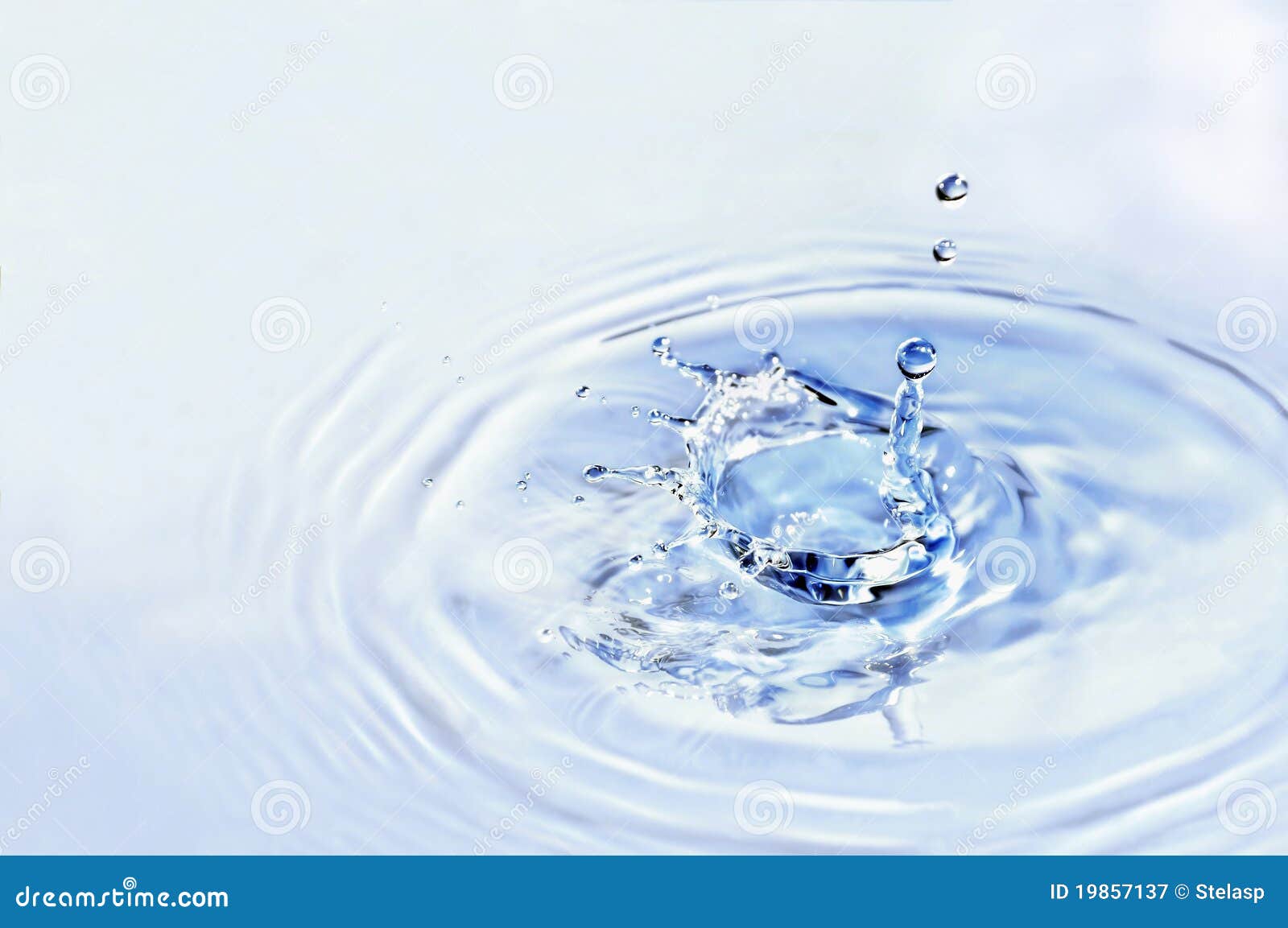 Splashing water drops stock image. Image of abstract - 19857137
