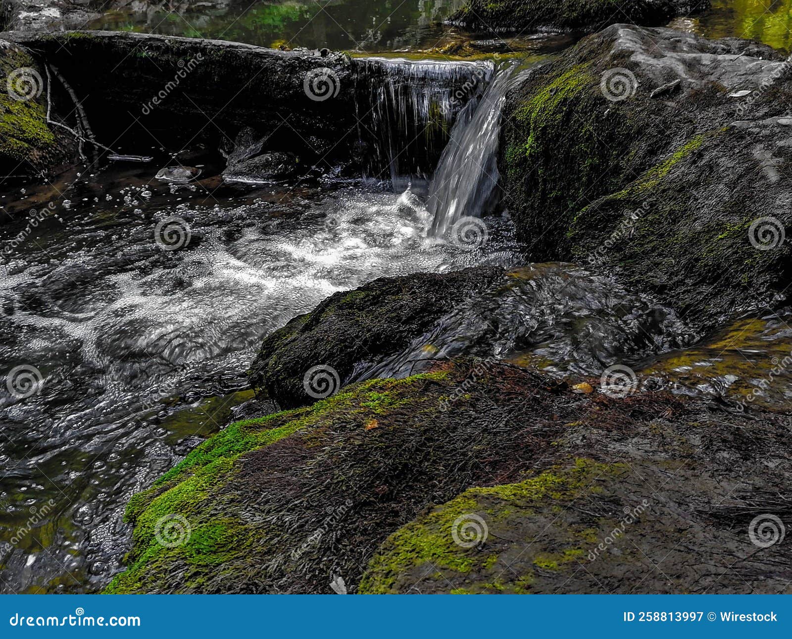 Splashing Water of a Rocky River Stock Image - Image of flowing, flow ...