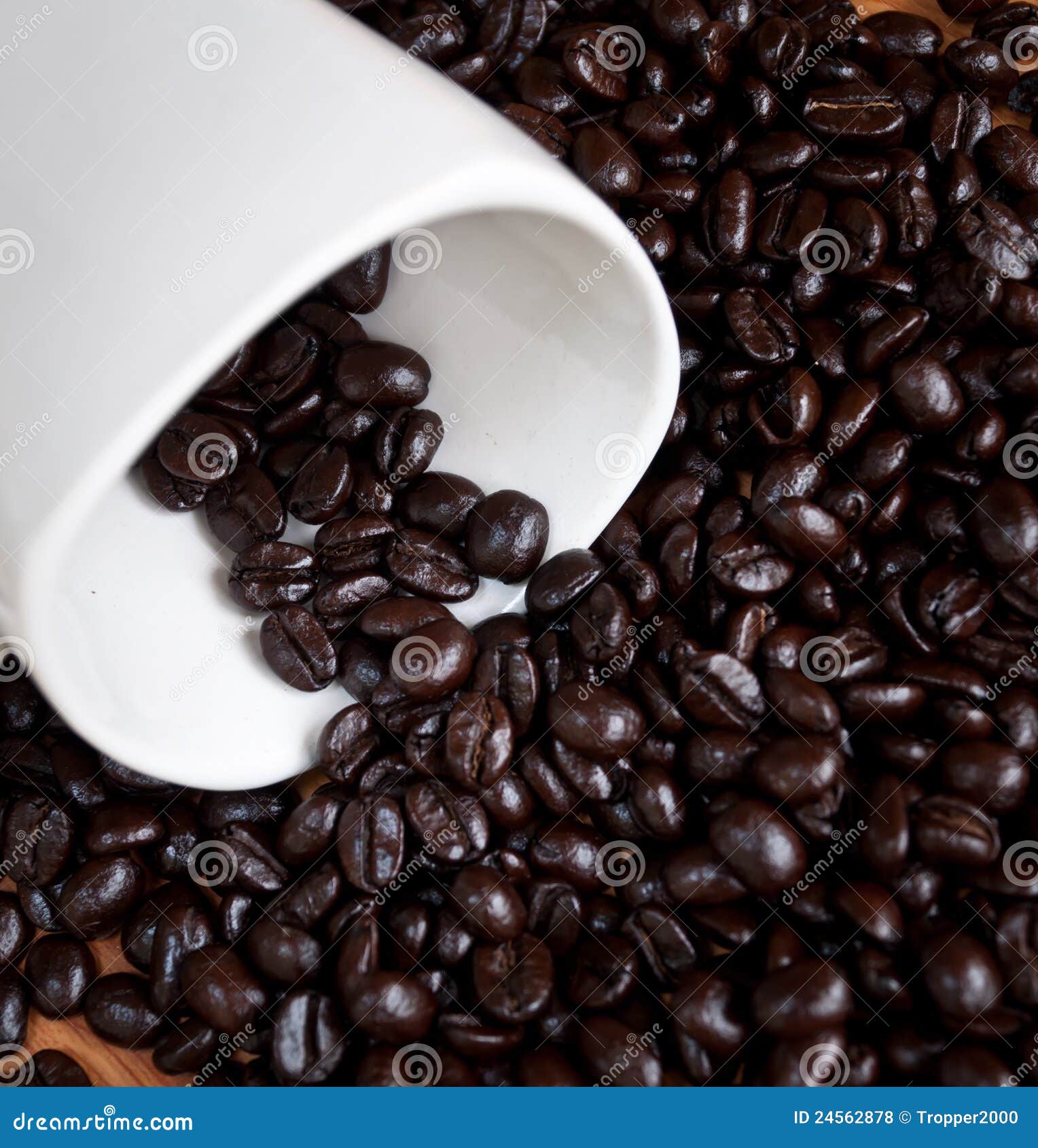 Splatter coffee beans . stock photo. Image of caffeine - 24562878