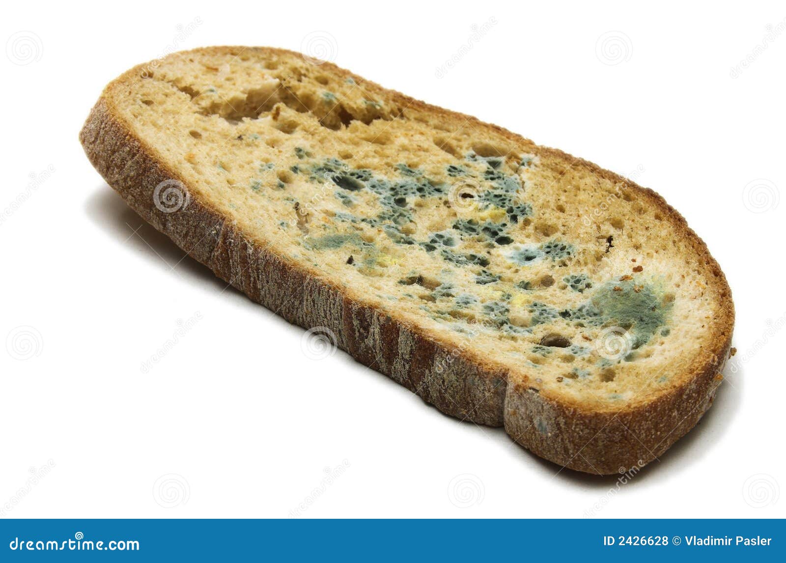 Spleśniały chleb. zdjęcie stock. Obraz złożonej z kanapka - 2426628