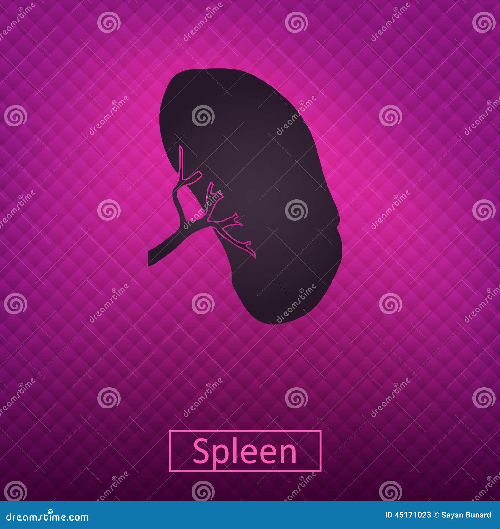 Spleen icons stock vector. Illustration of info, medicine - 45171023