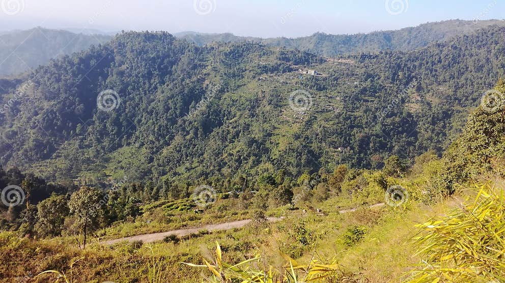 Splendid Creation of Nature Stock Photo - Image of splendid, satisfy ...