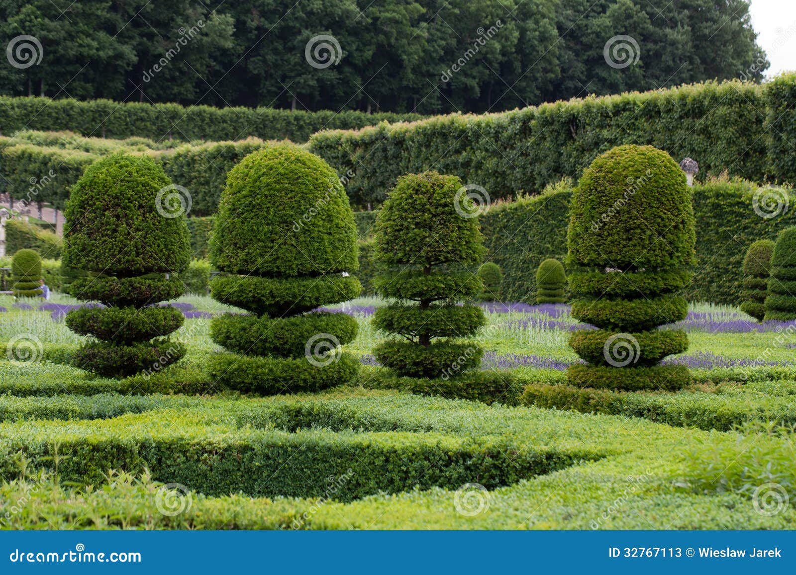Splendid, Decorative Gardens Stock Image - Image of bush, green: 32767113