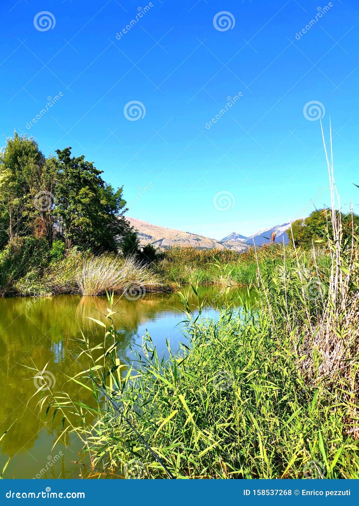 Splendid moment of summer stock photo. Image of summer - 158537268