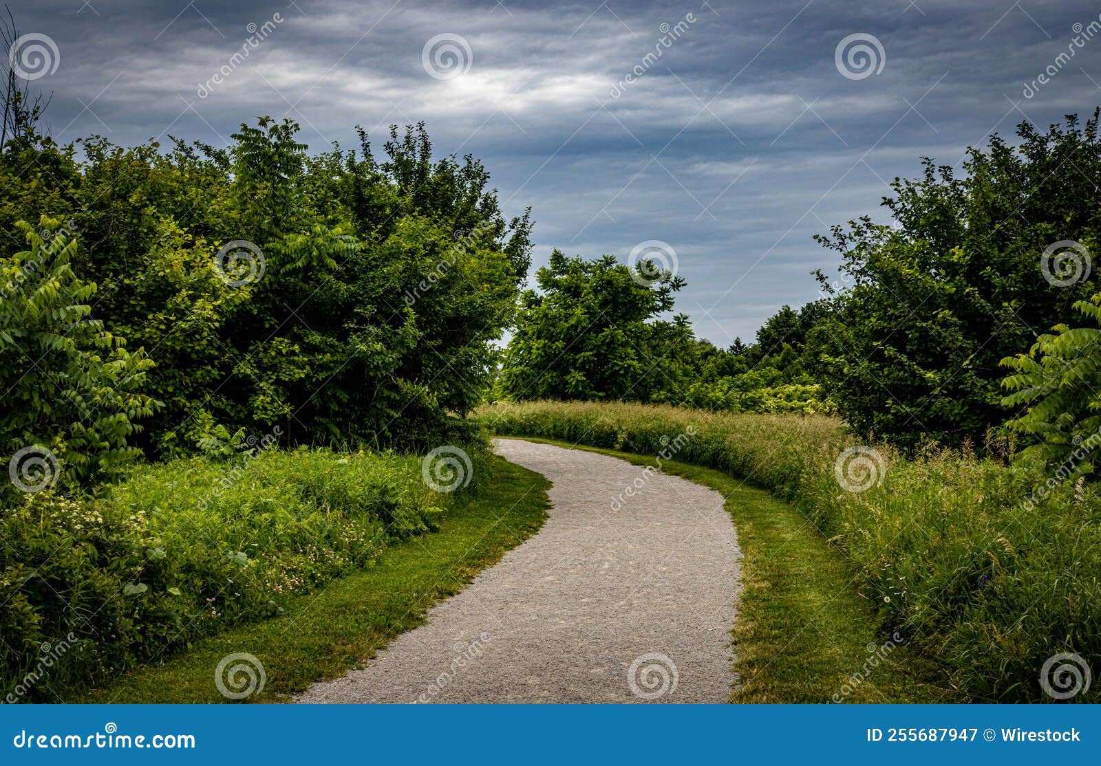 Splendid Natural Scenery of a Pathway Leading through a Park Stock ...